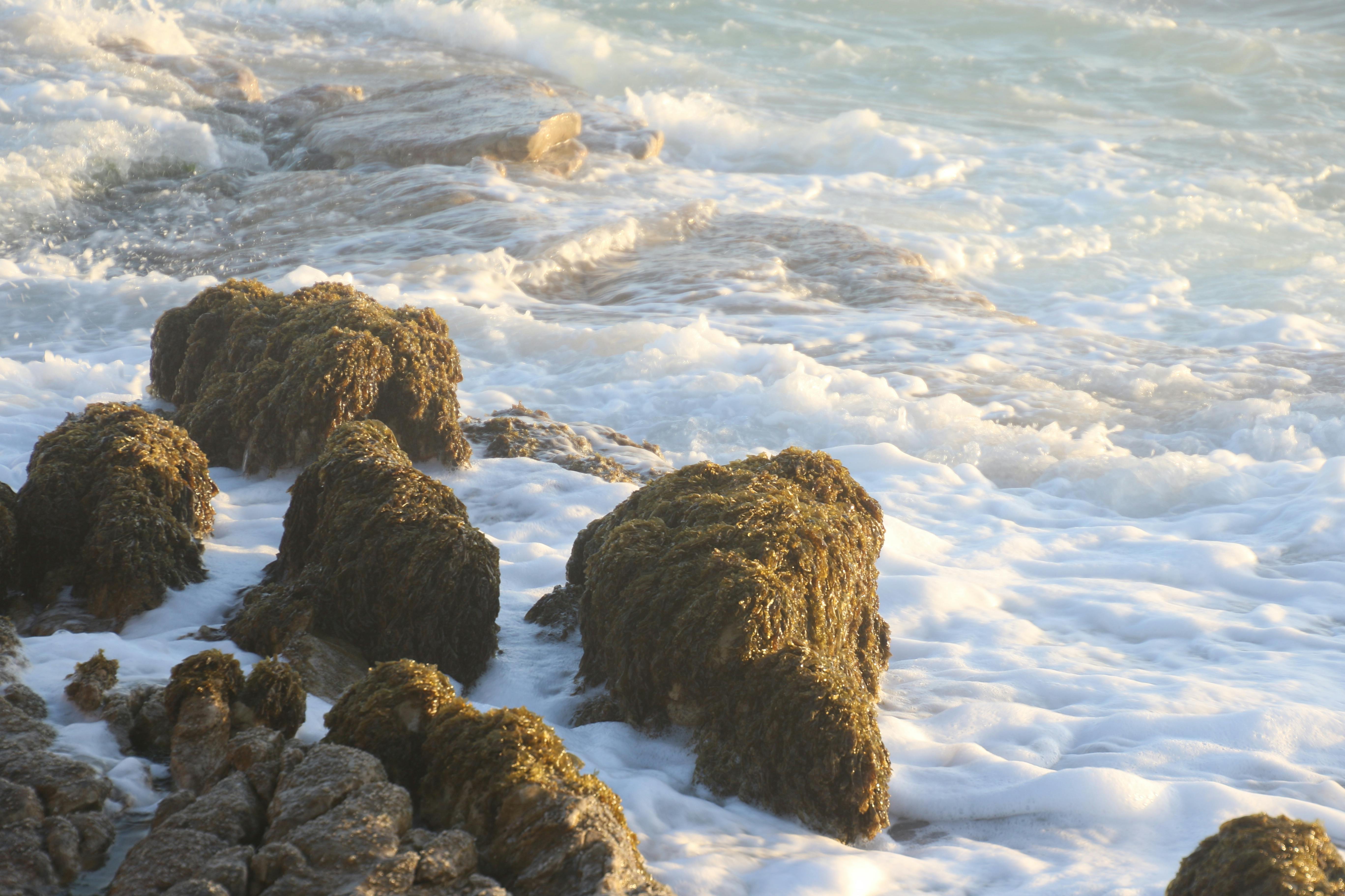 Rock Formation Near Body of Water · Free Stock Photo
