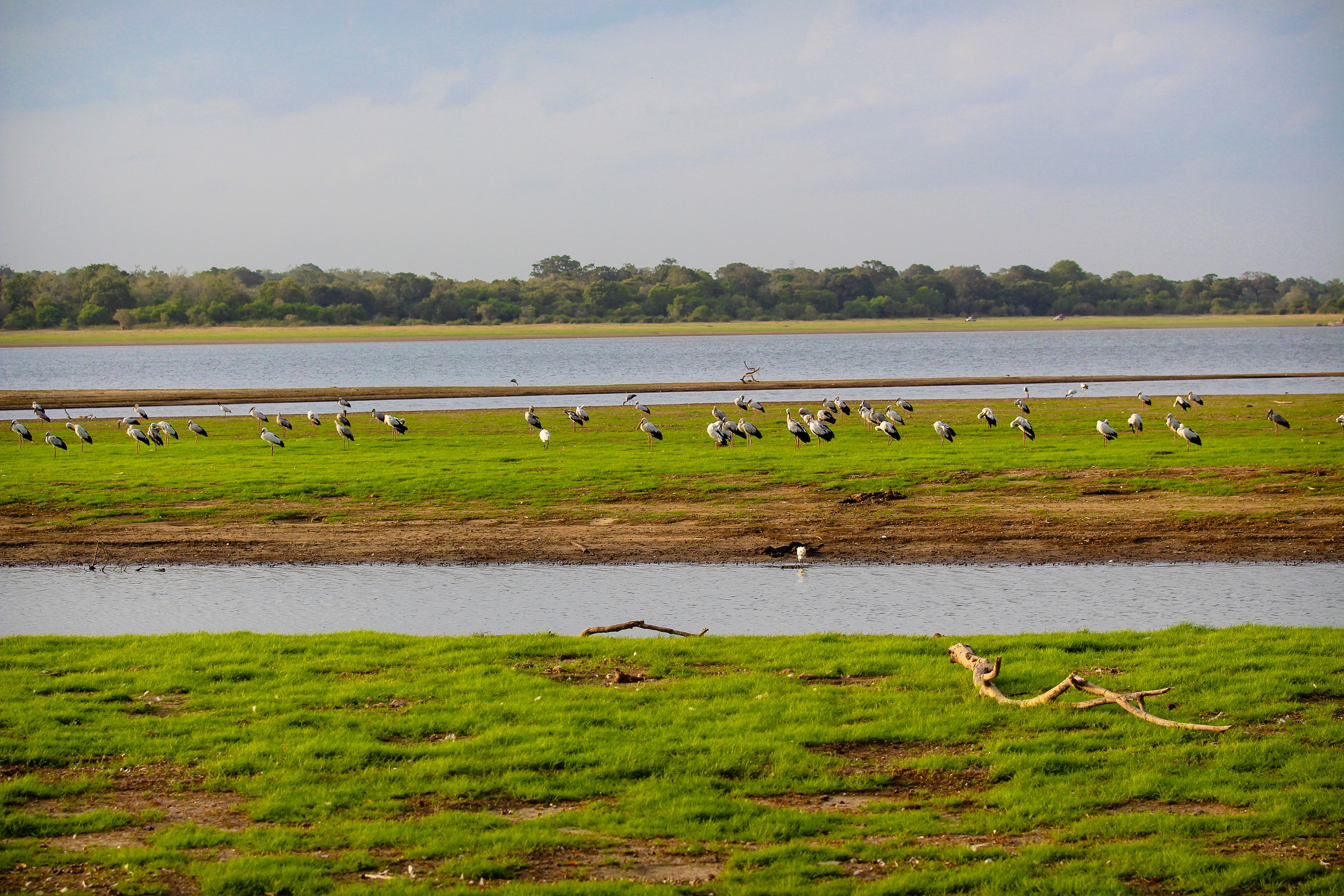 Lake Near Farm · Free Stock Photo