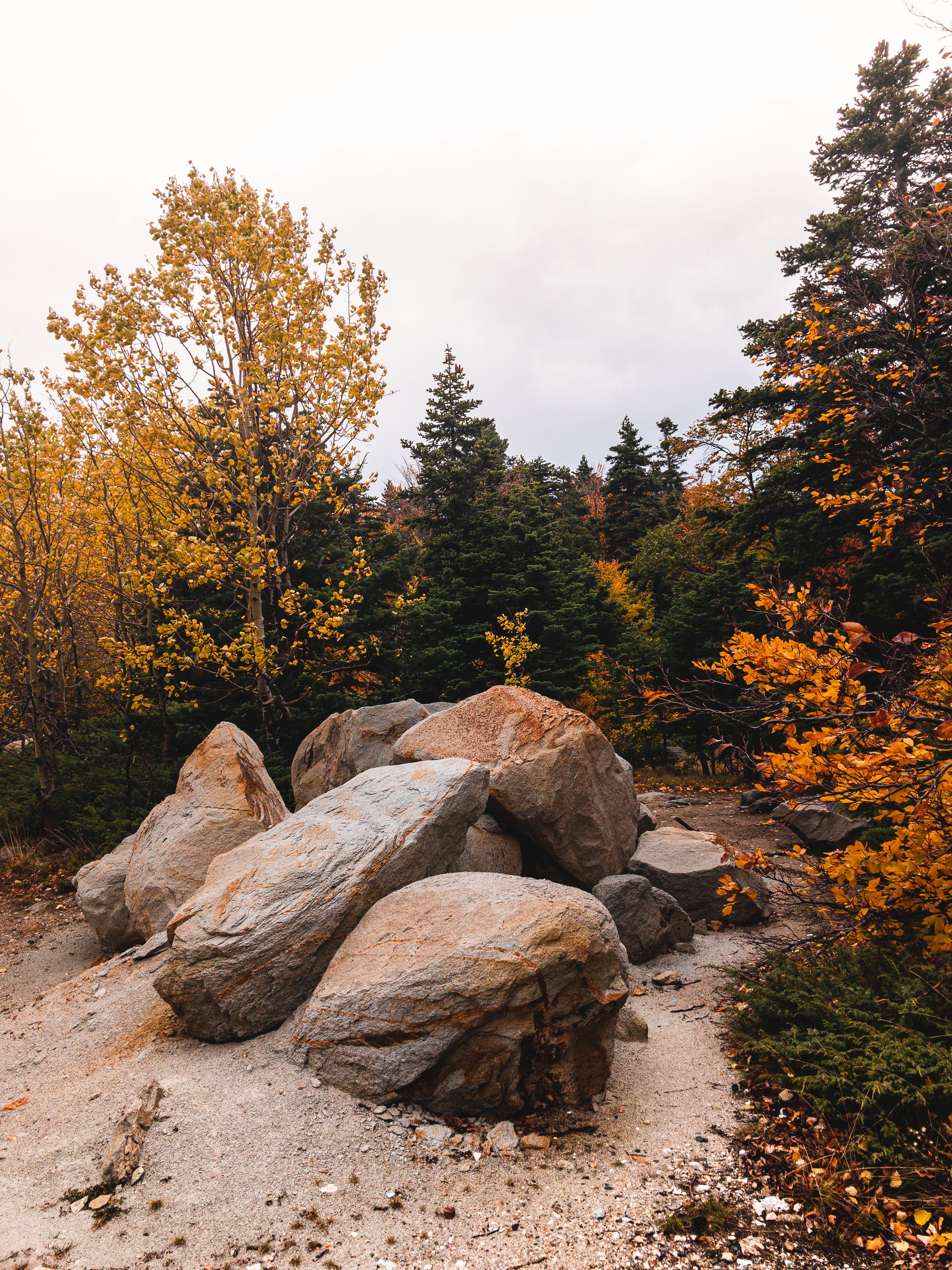 Big Rocks Near Trees · Free Stock Photo