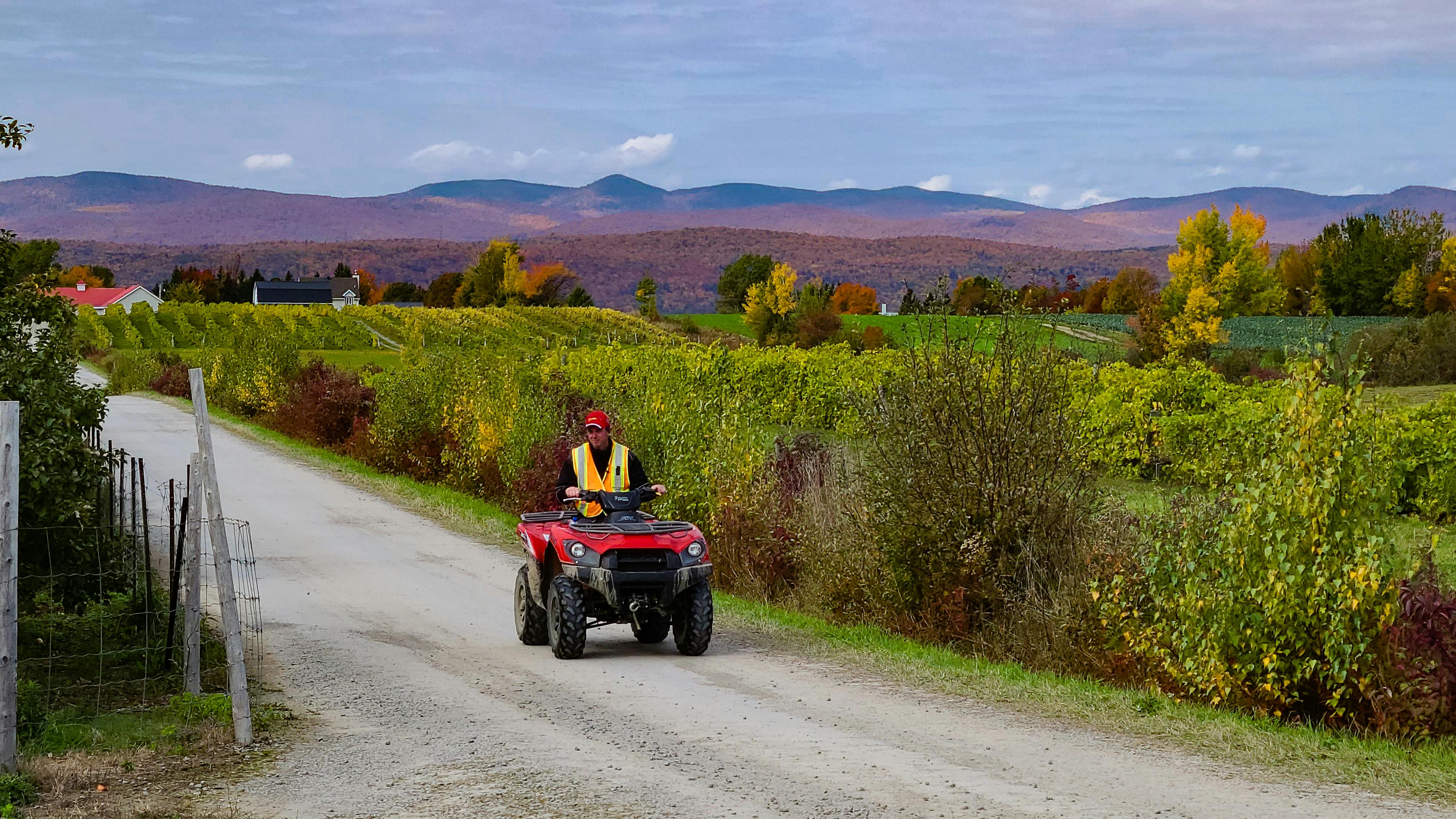 Farm 2 Photos & Videos Collected by Sim Sam