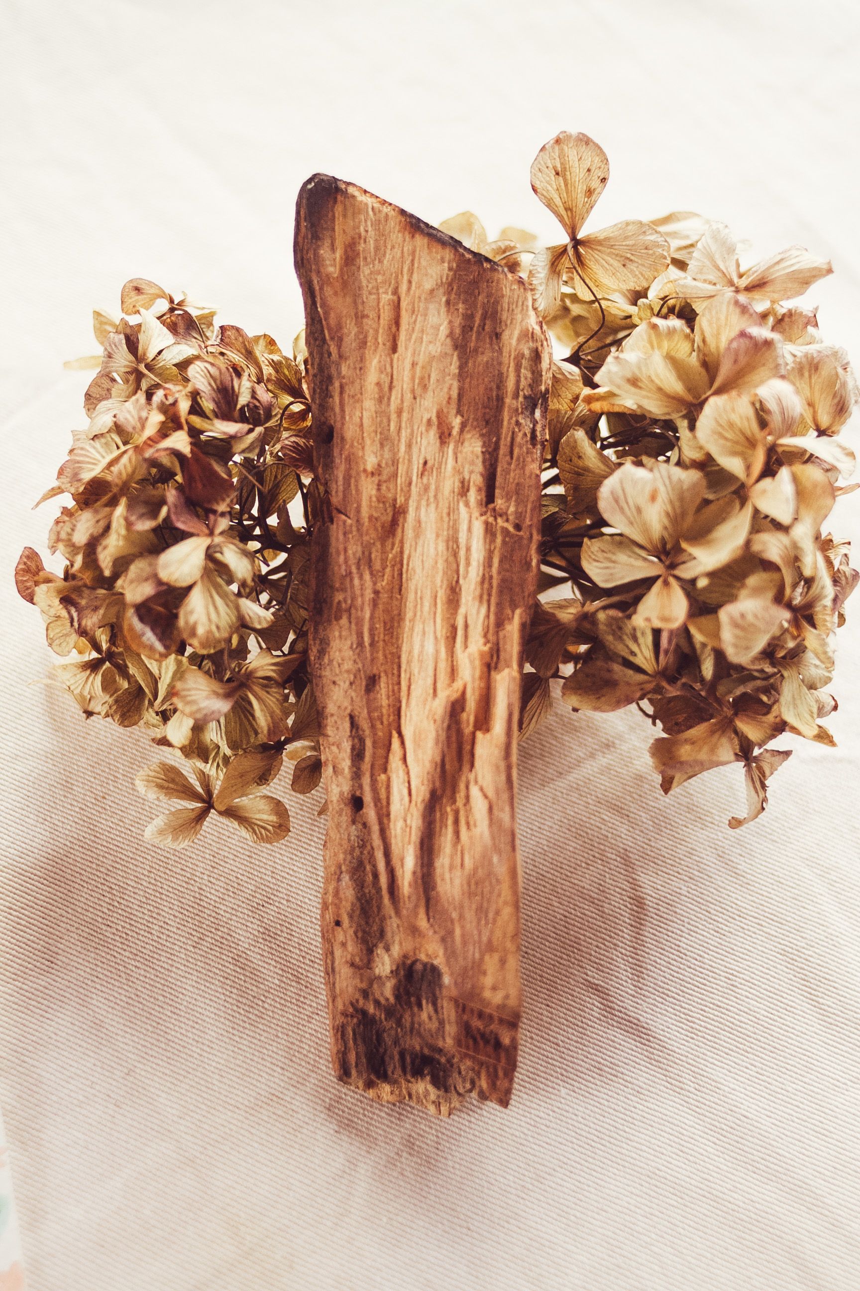 Close Up Photo of Burning Wooden Stick · Free Stock Photo