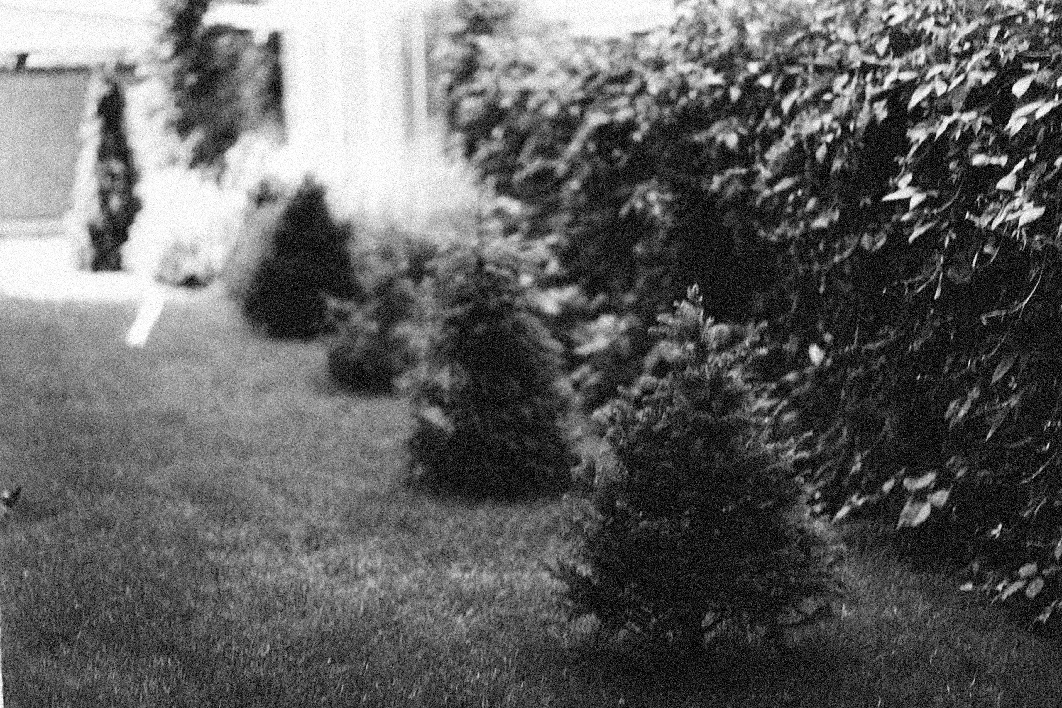 Grayscale Photography of Burning Field · Free Stock Photo