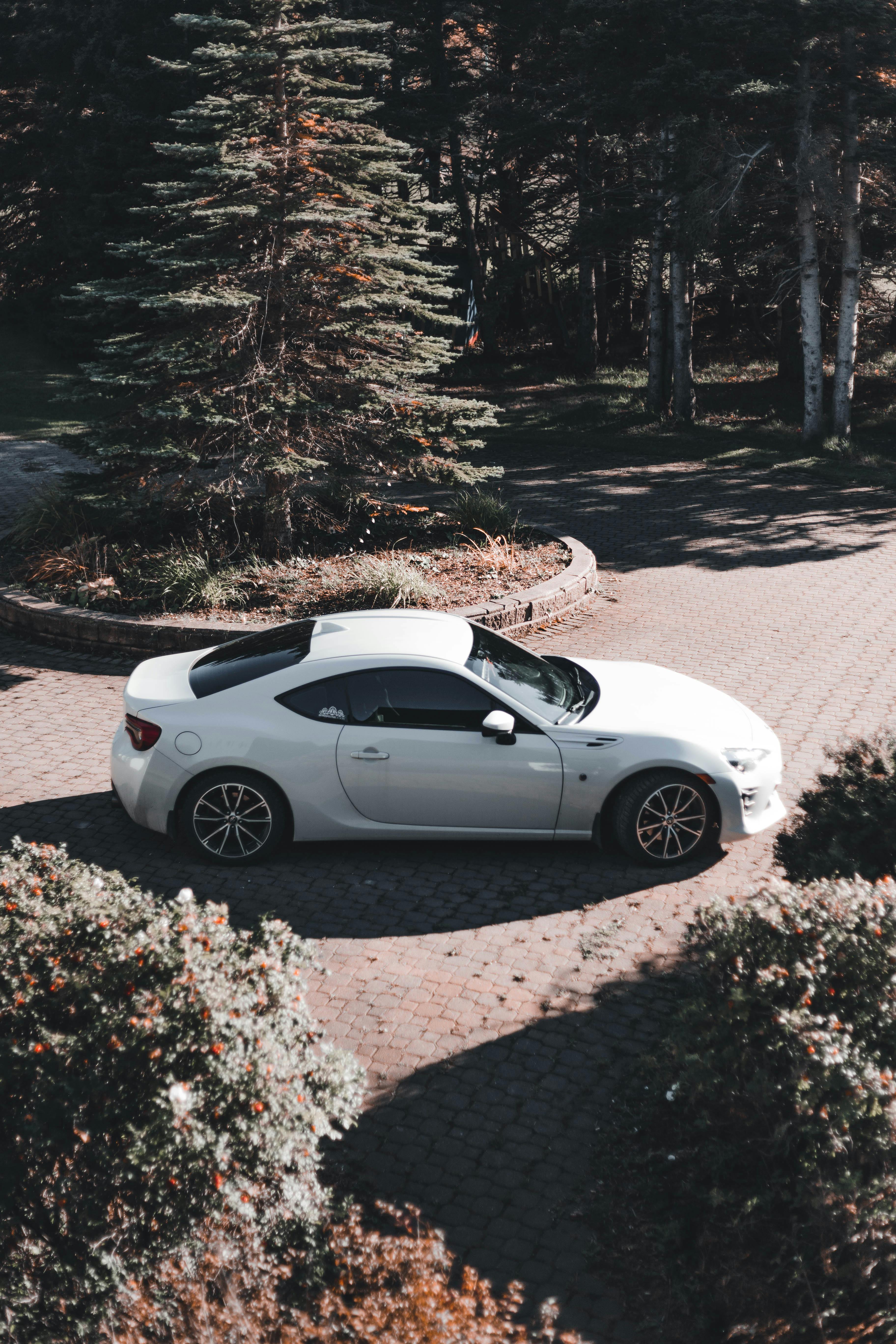 Car Branch Photos, Download The BEST Free Car Branch Stock Photos & HD ...