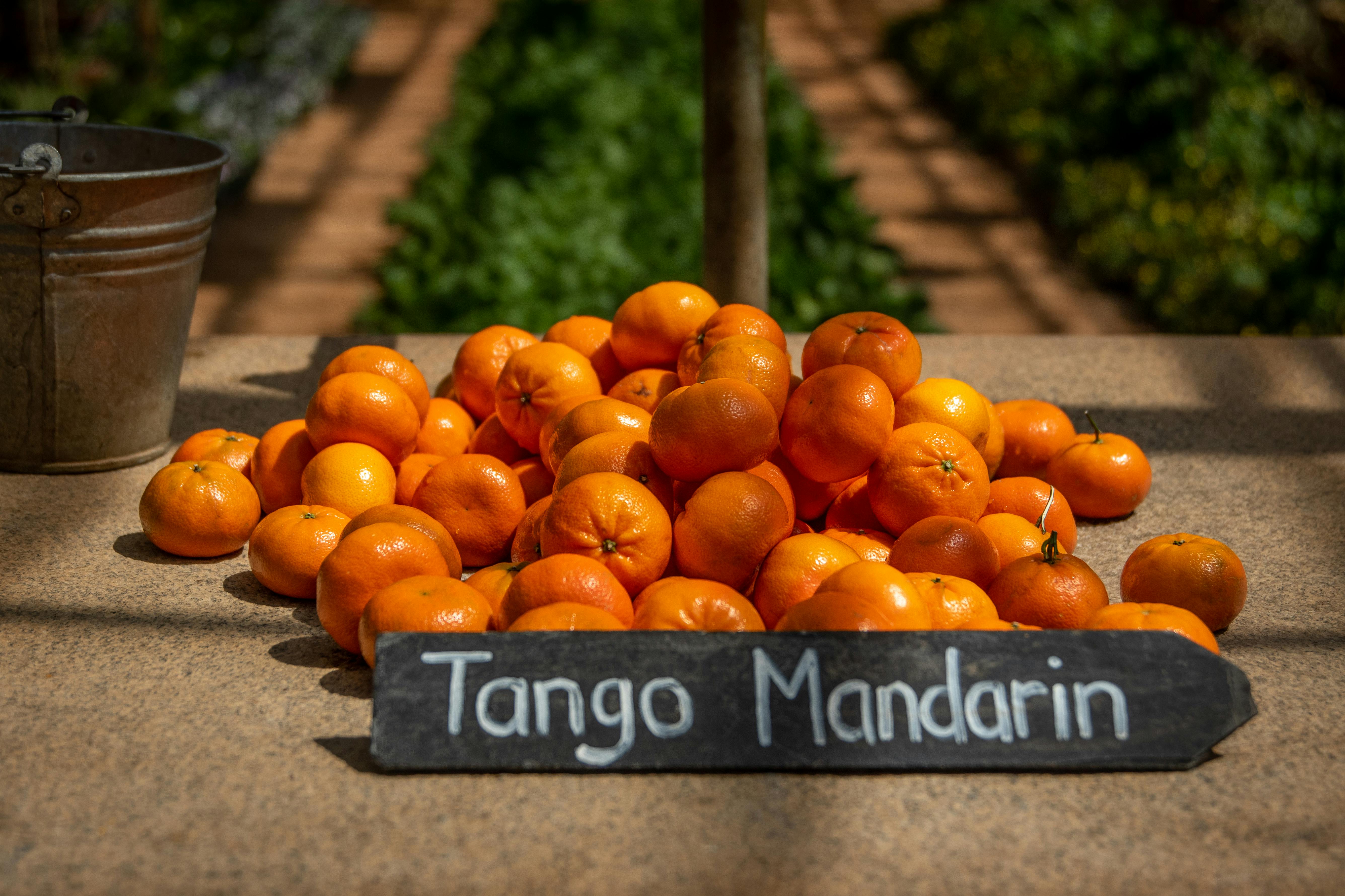 Tango Mandarin Photos, Download The BEST Free Tango Mandarin Stock ...