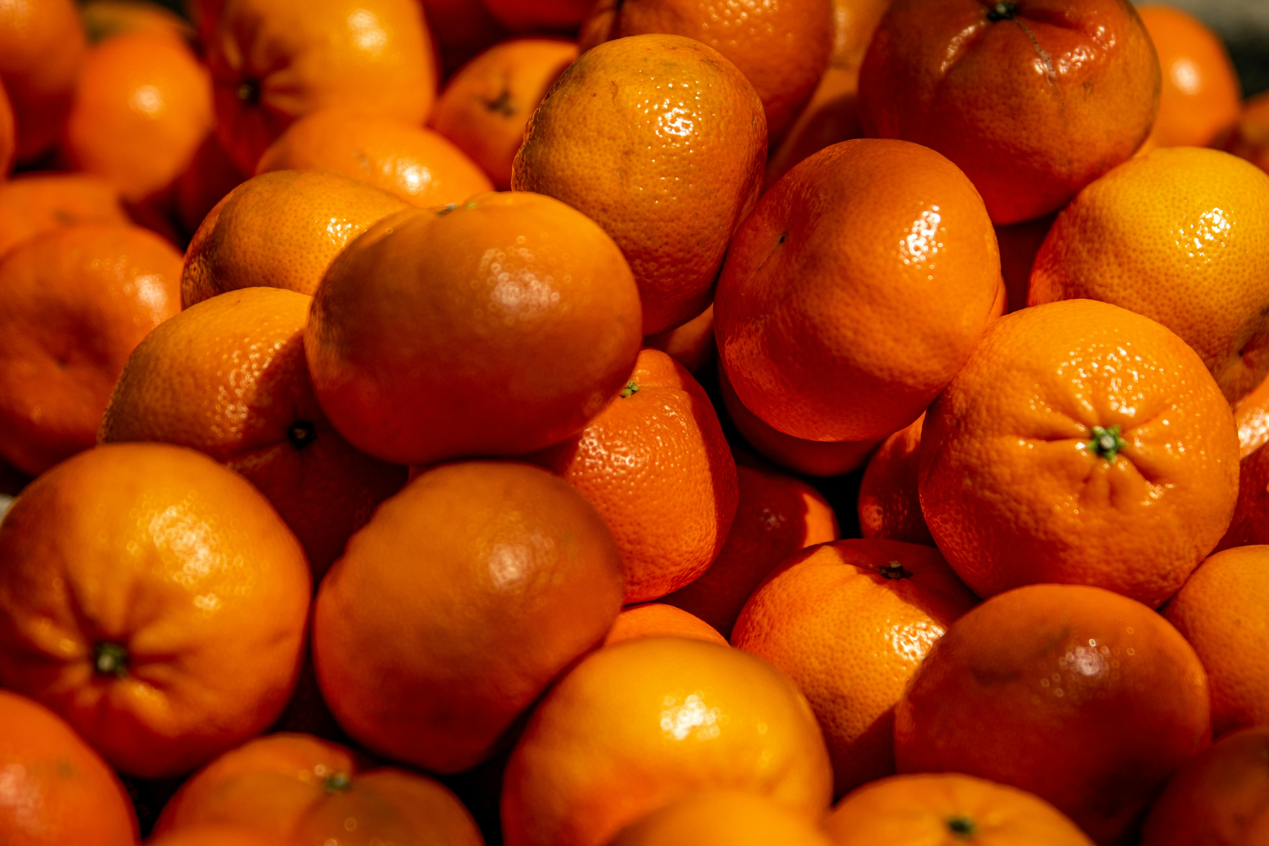 A Pile of Orange in Close-Up Photography · Free Stock Photo