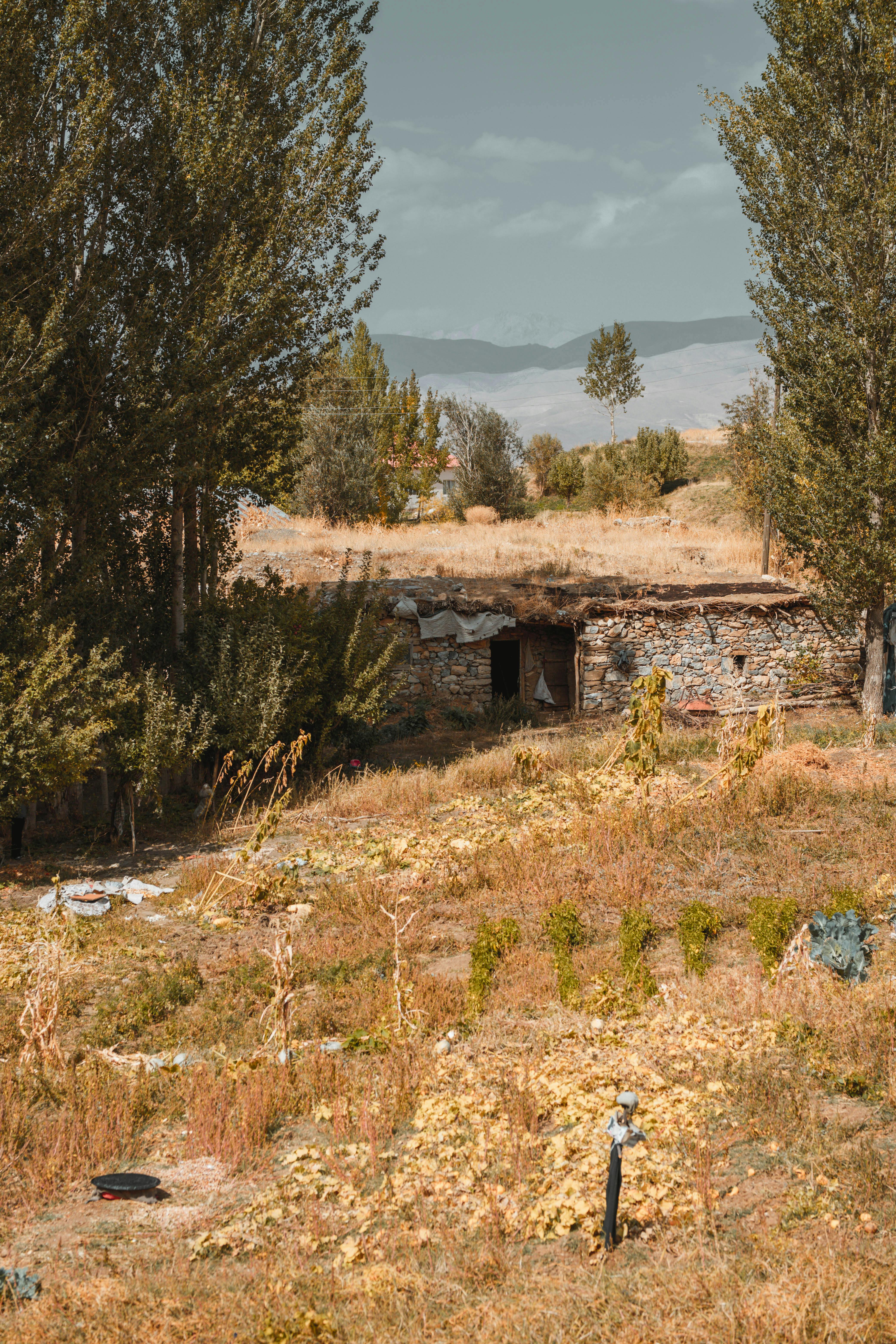 Stone House beside Tall Trees · Free Stock Photo