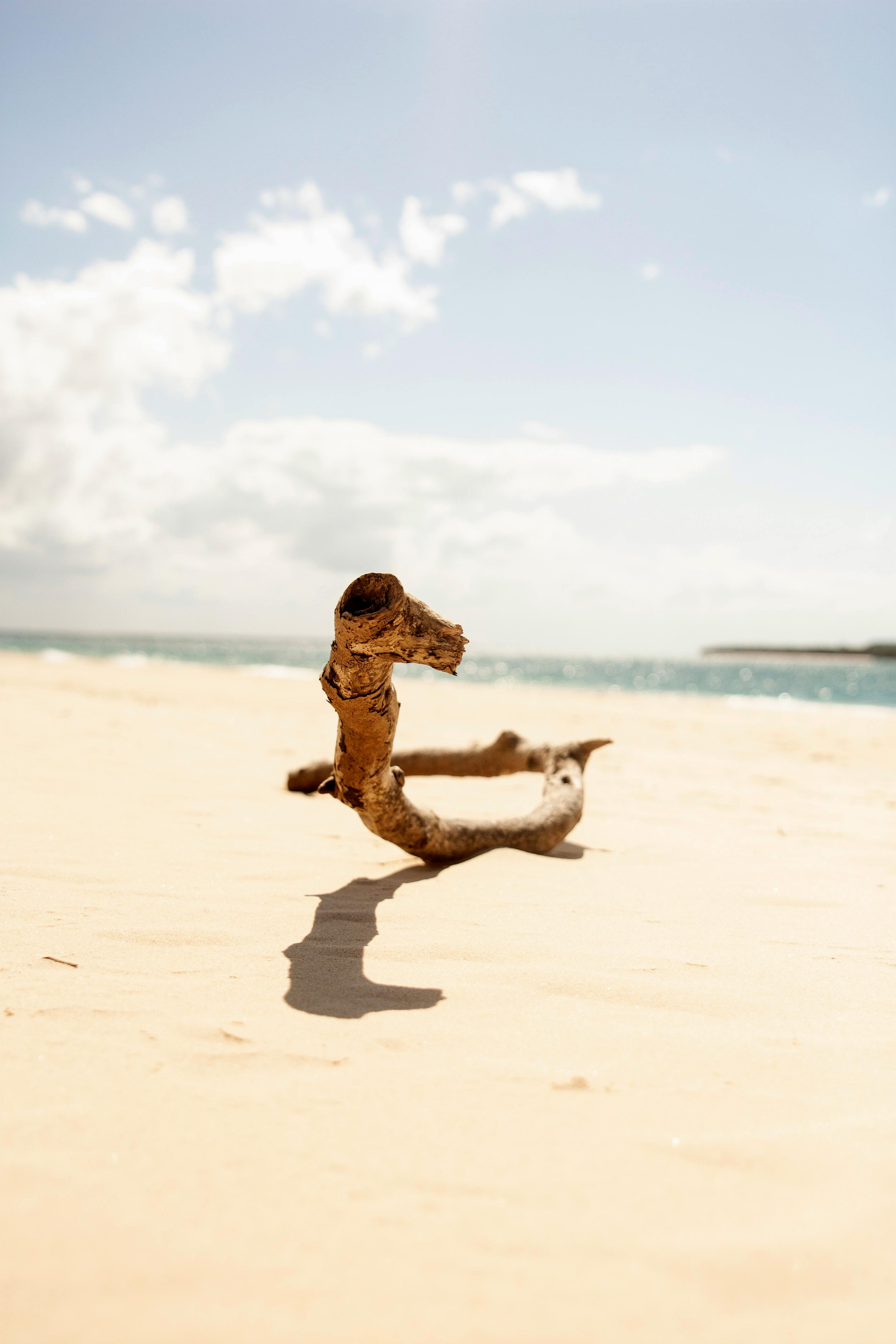 Dominica's Unexpected Kindness on a Dark Road - Island Hopper Guides