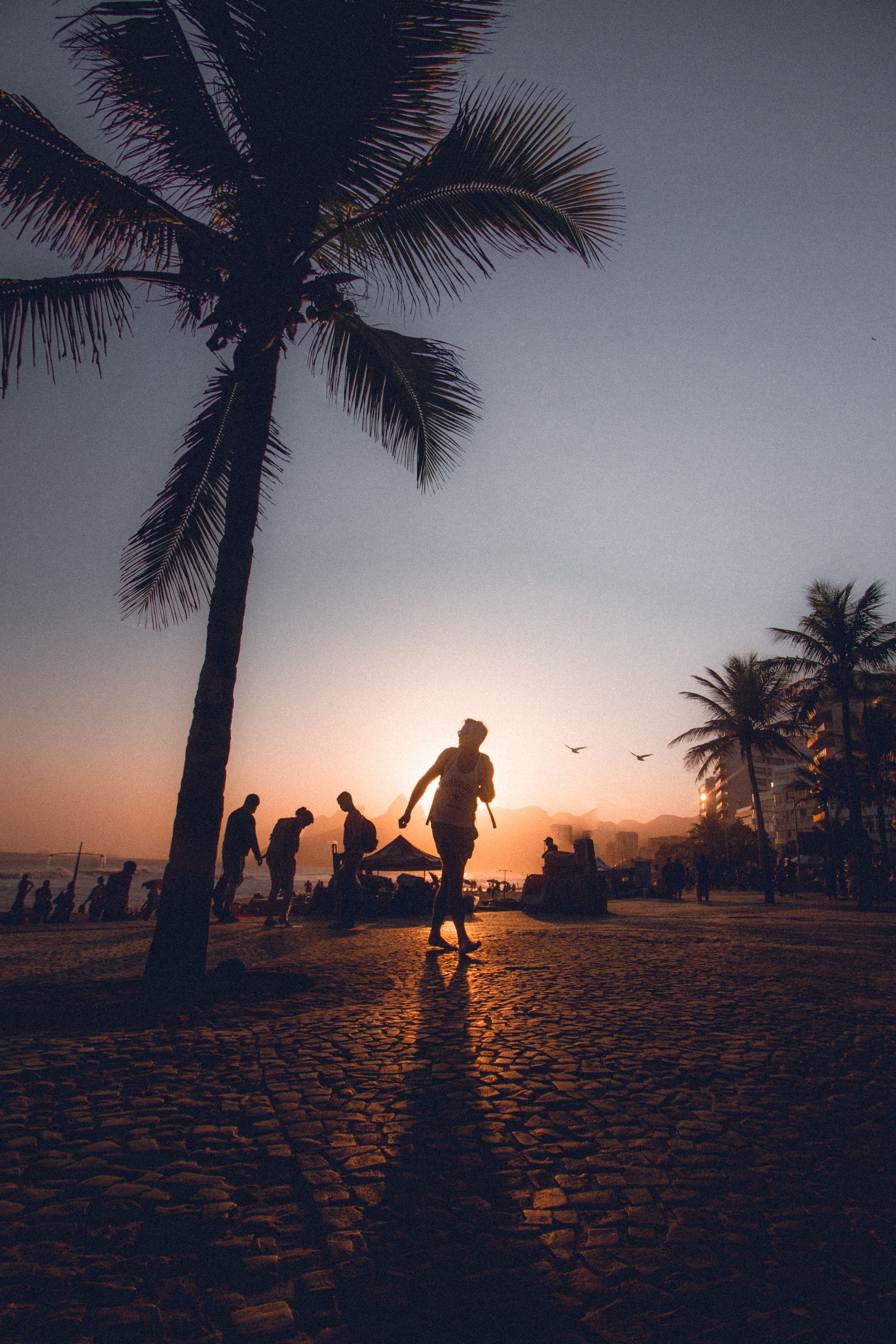 Tourist on Beach with Coconut Tree · Free Stock Photo