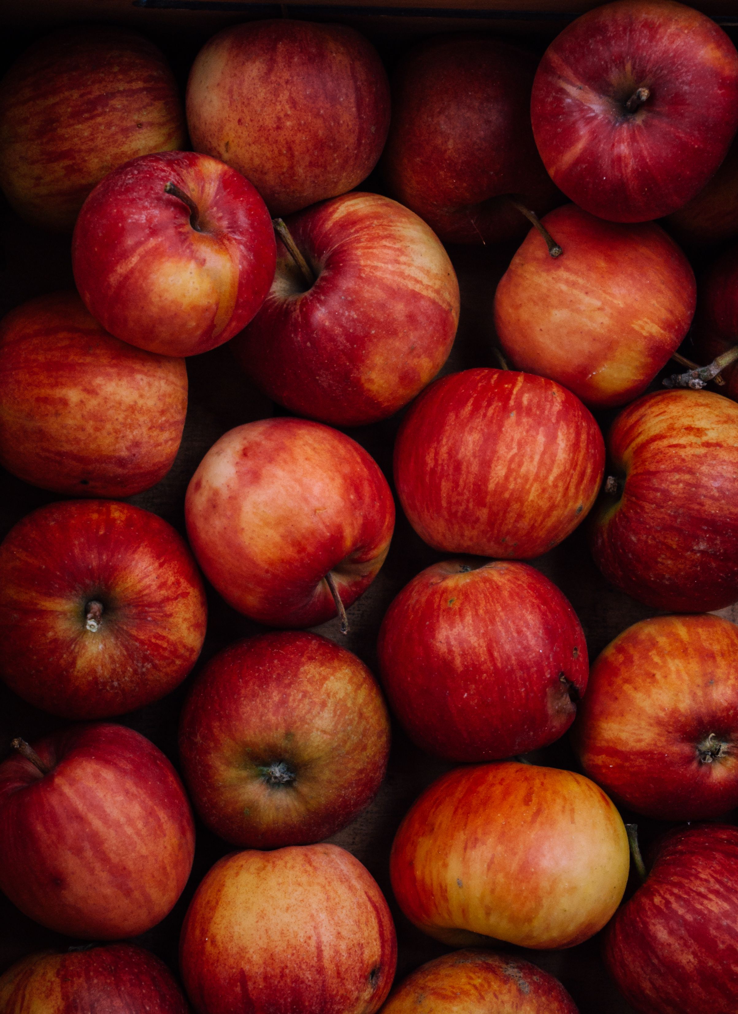 Close-up Photography of Apples · Free Stock Photo
