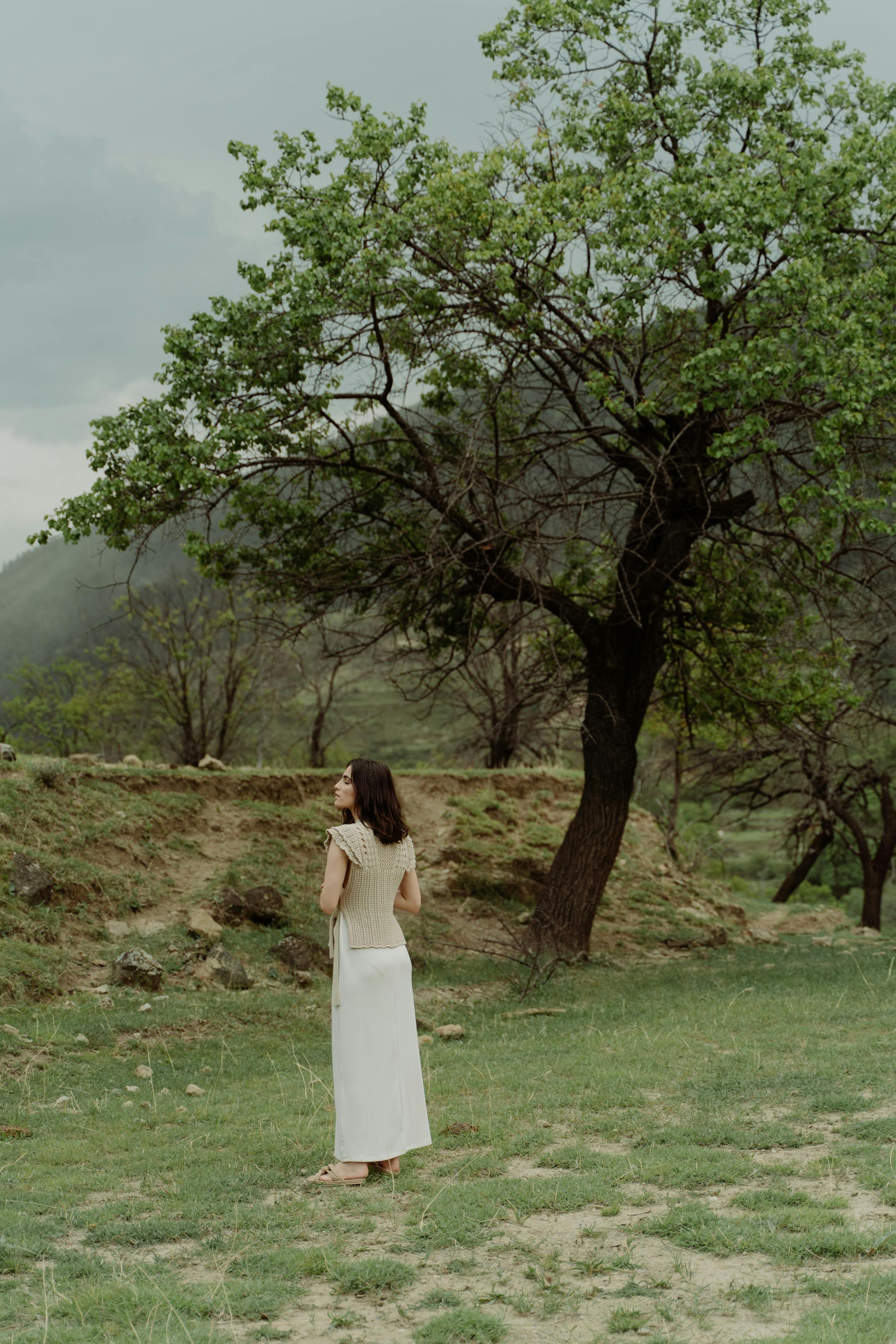 Ilex Tree Photos, Download The BEST Free Ilex Tree Stock Photos & HD Images