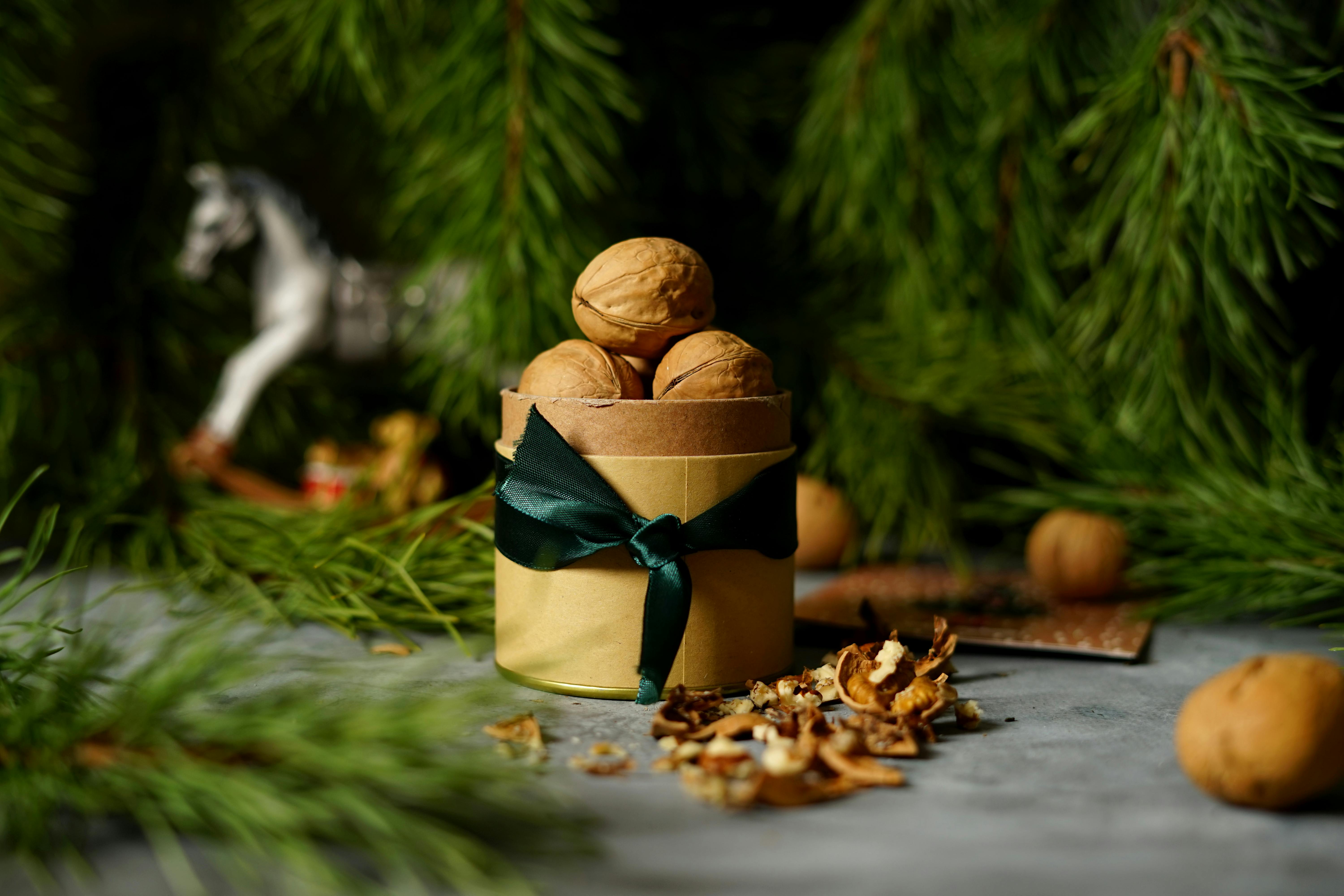 Walnuts in a Container · Free Stock Photo