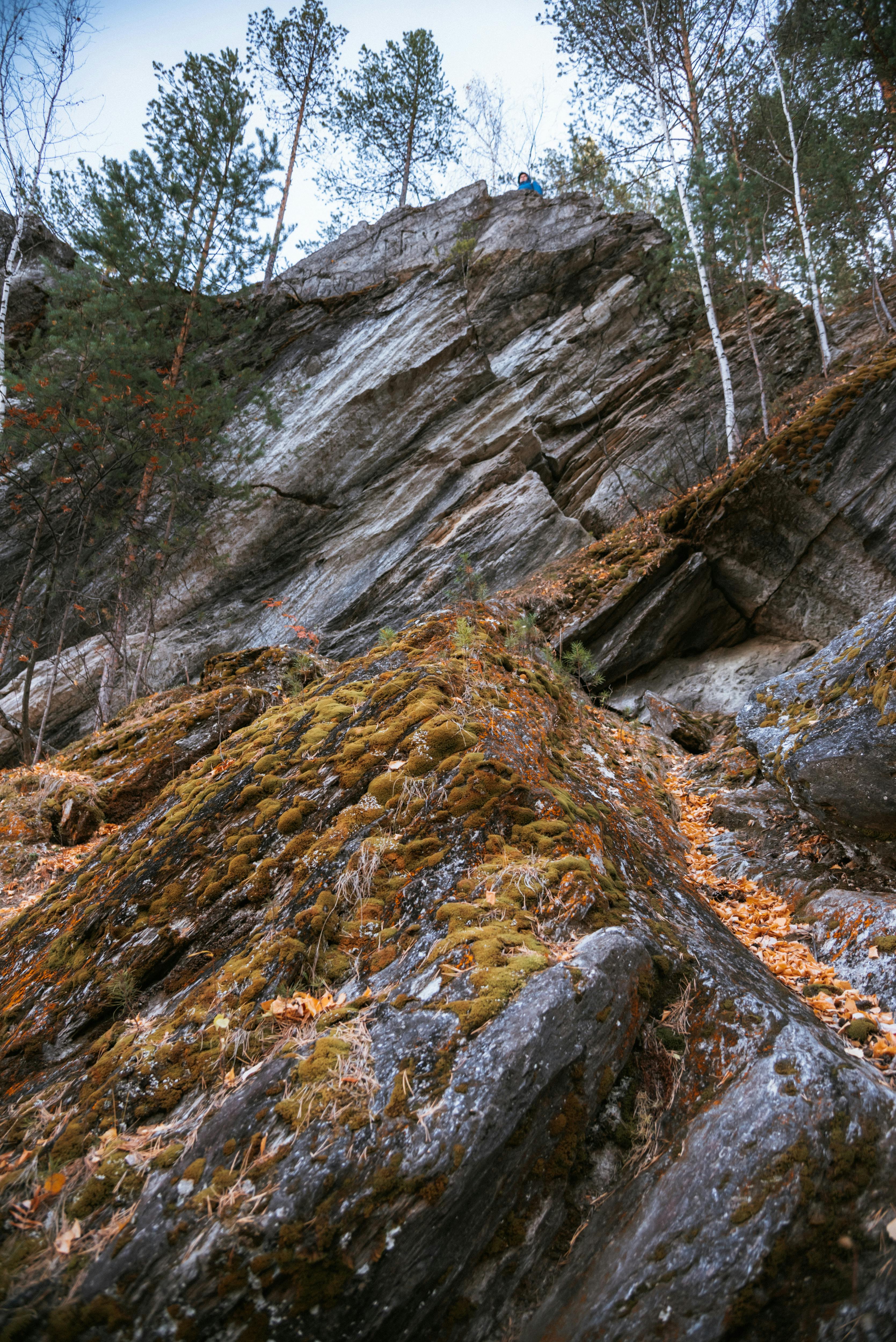 Close-up Photo of Moss Covered Boulder · Free Stock Photo