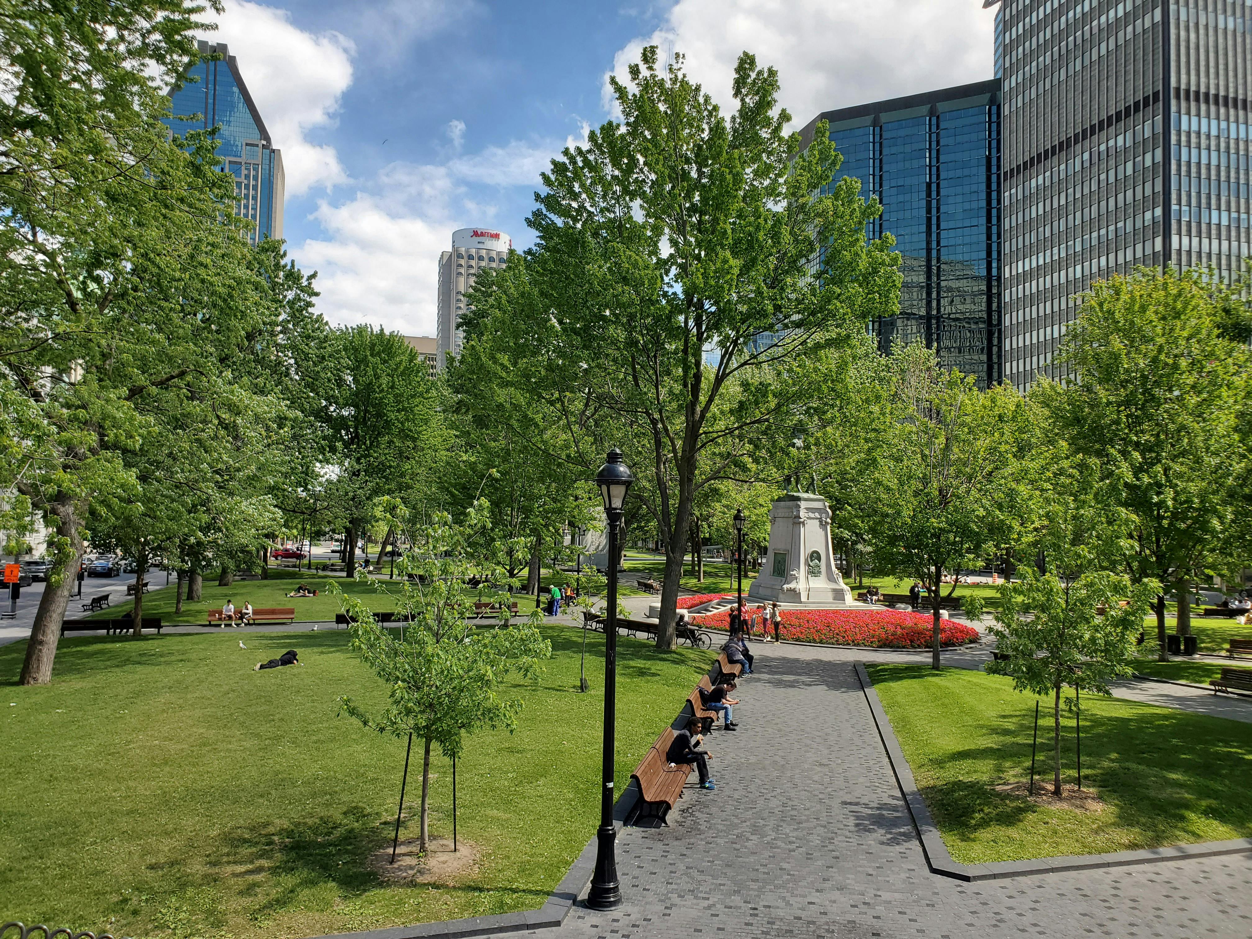 Green Trees in the Park · Free Stock Photo