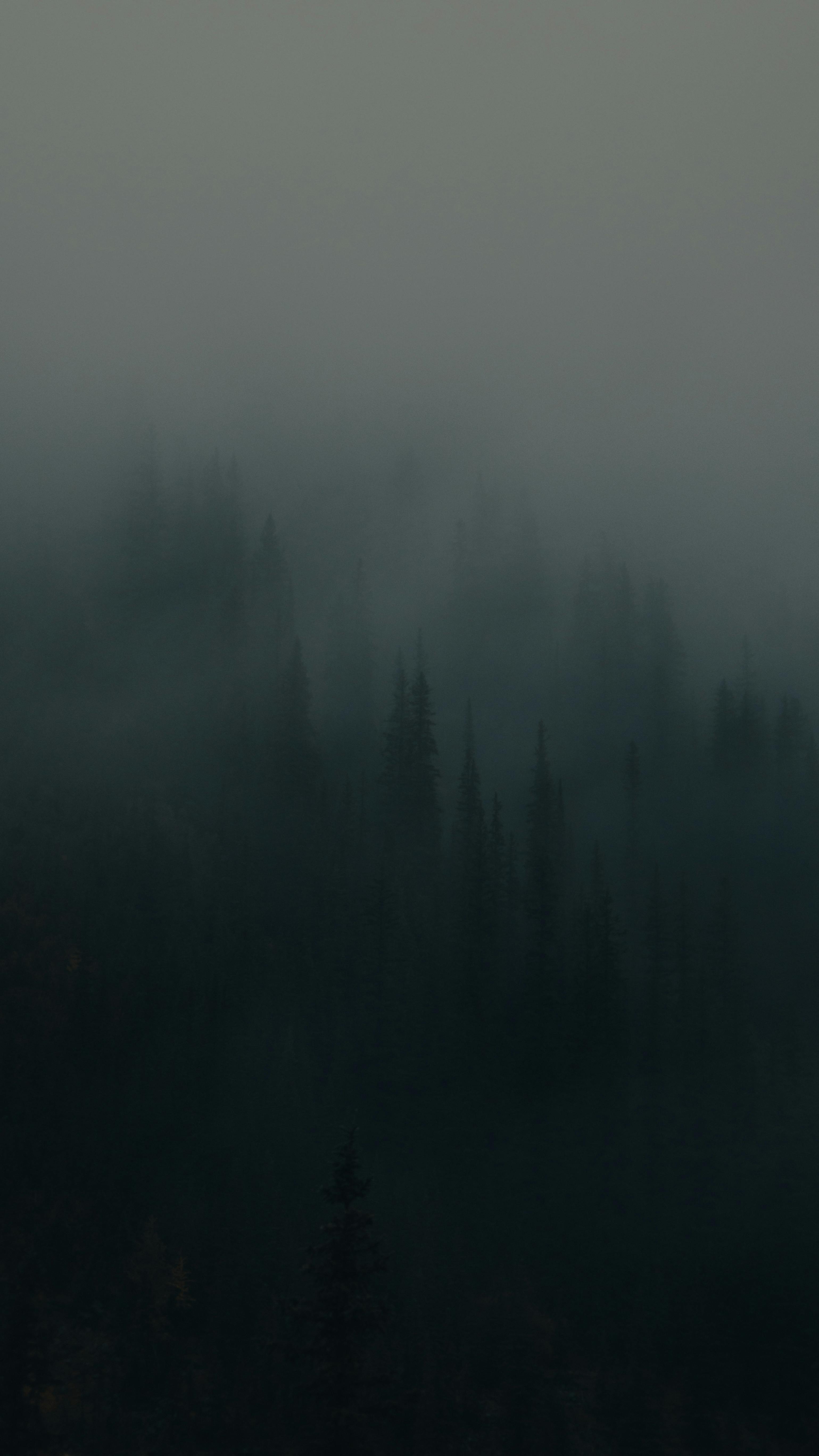 Jaime Reimer · Photography