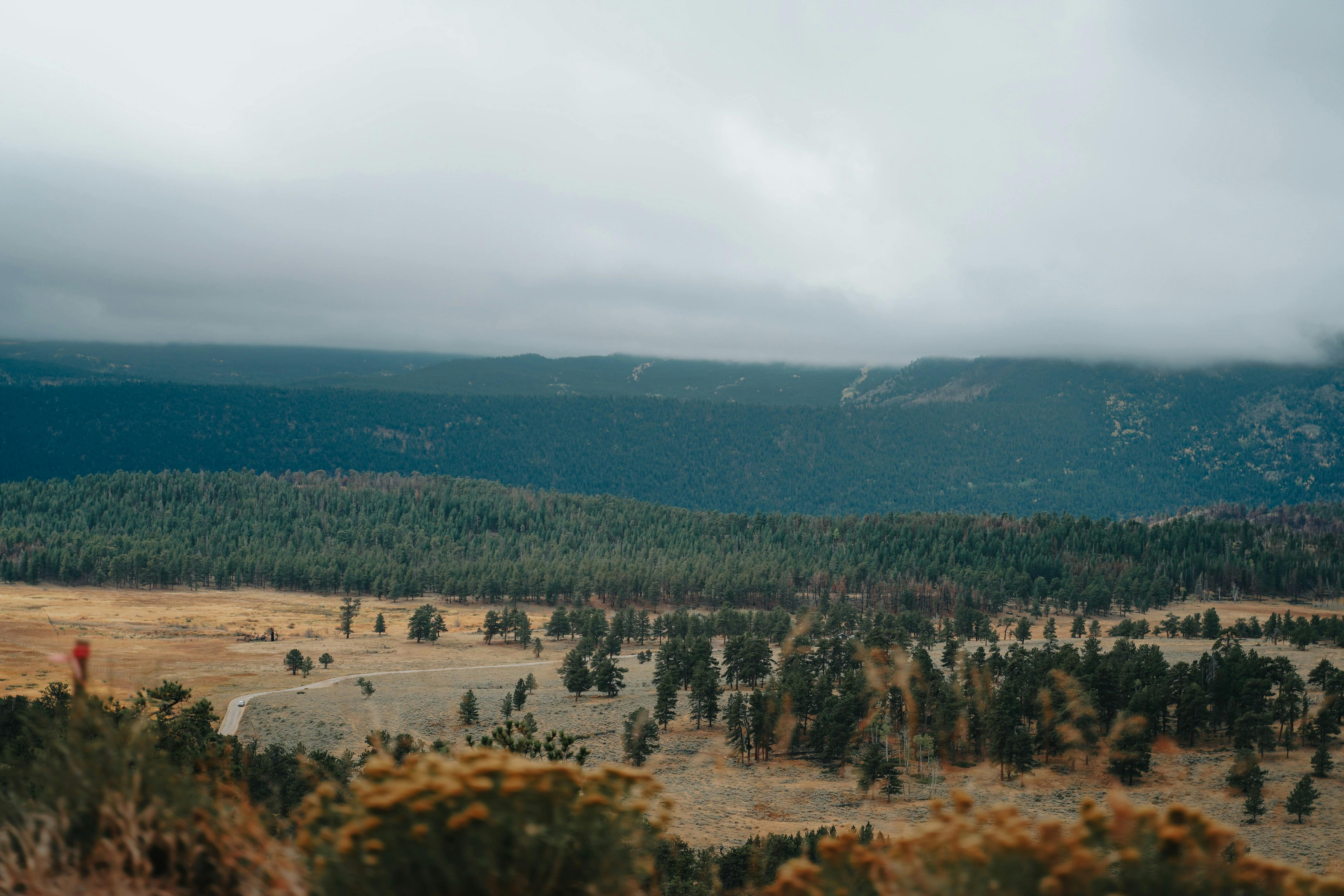 Overcast over Forests and Meadows · Free Stock Photo