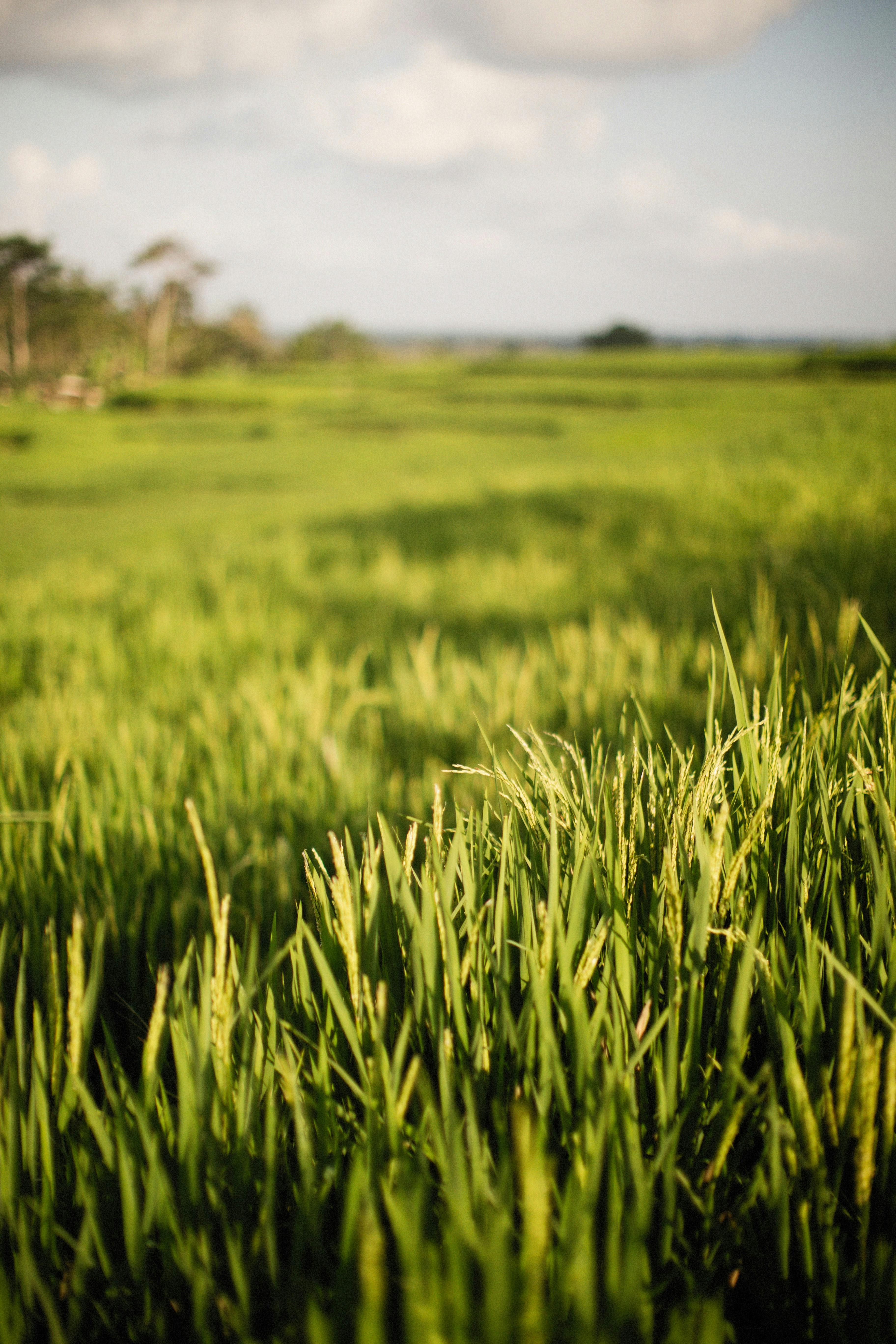 Strand Photos, Download The BEST Free Strand Stock Photos & HD Images