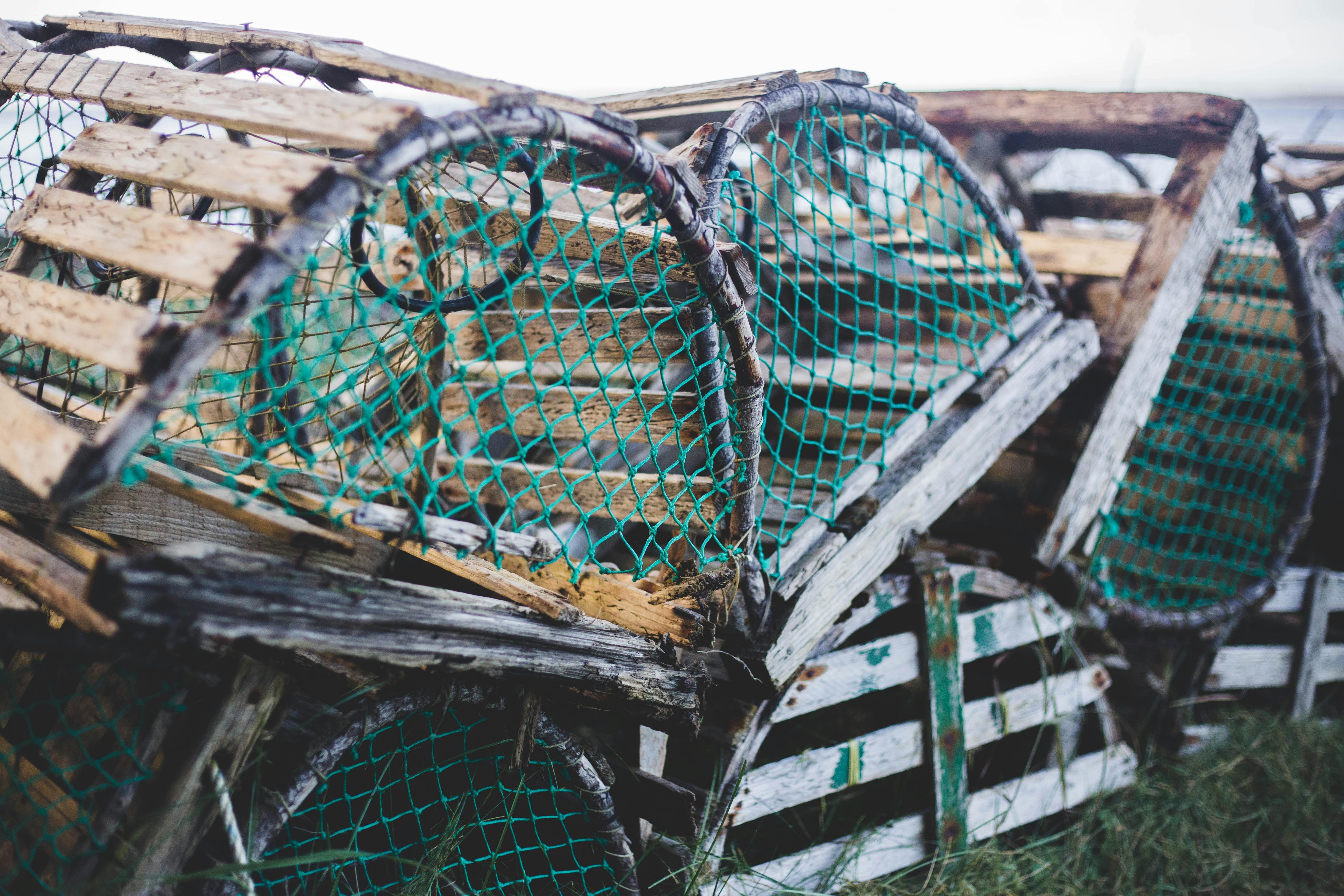 Slats Nets Photos, Download The BEST Free Slats Nets Stock Photos & HD ...