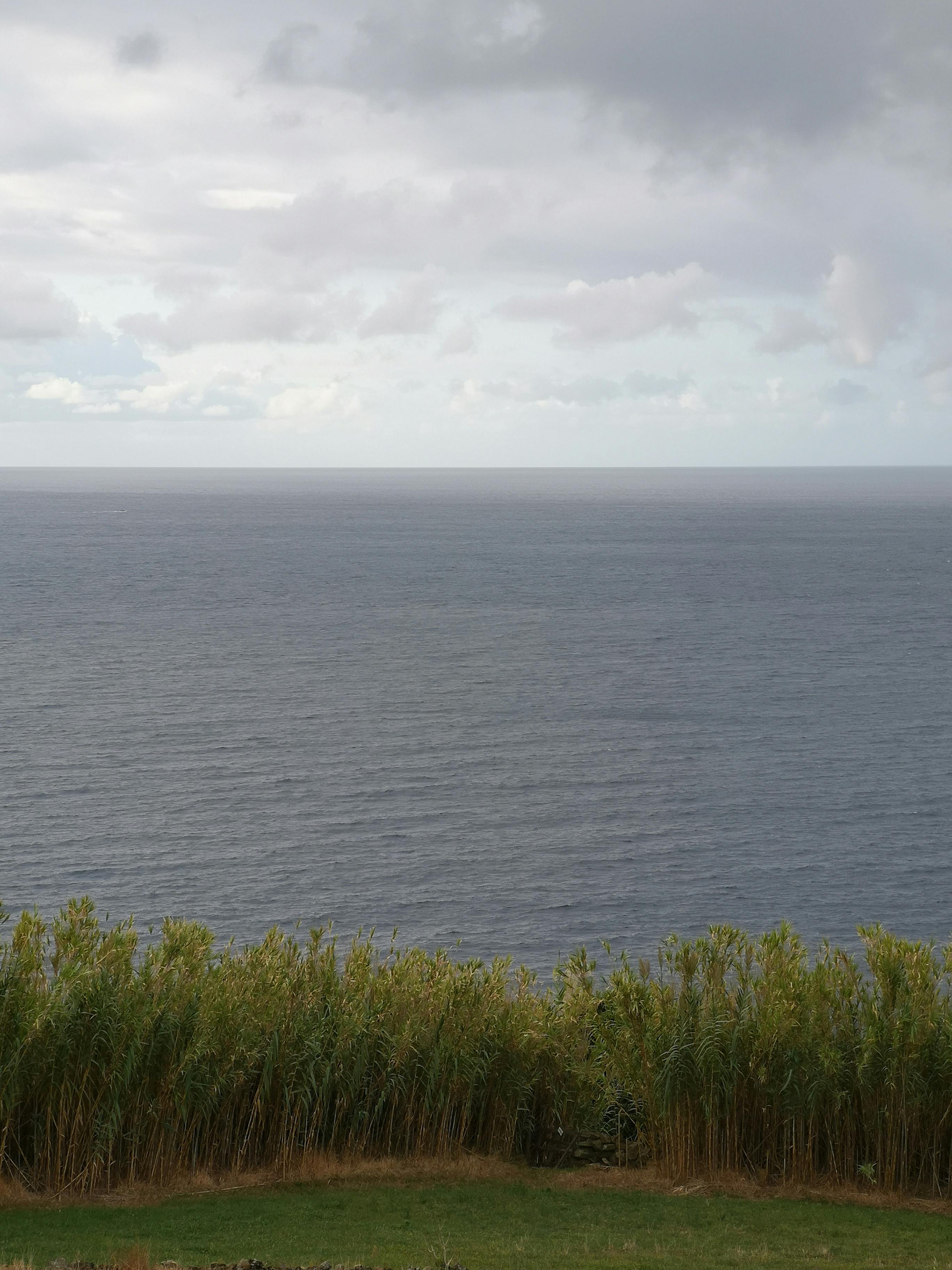 Overlooking View of the Ocean · Free Stock Photo