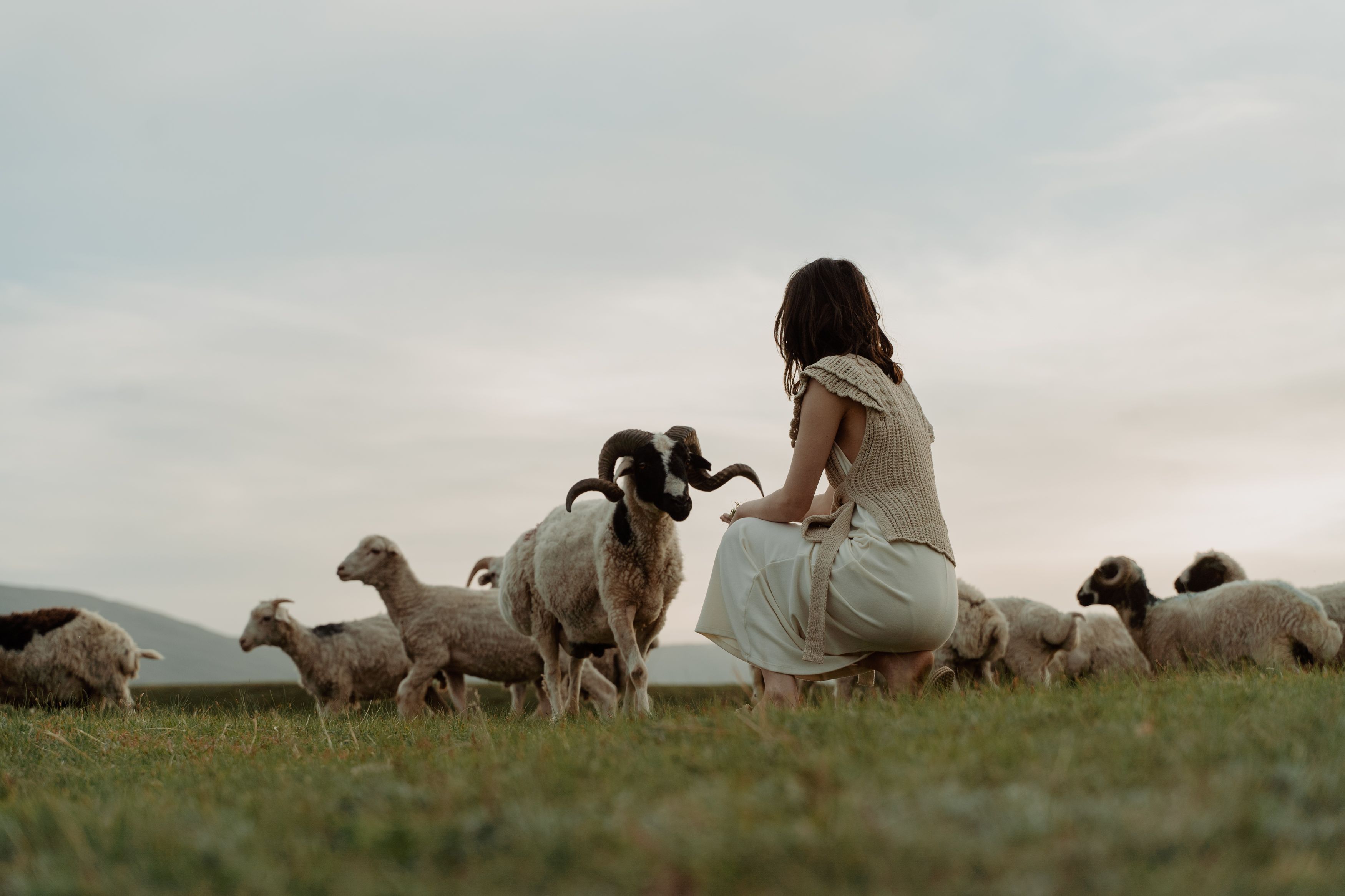 Woman Standing Near Sheep · Free Stock Photo