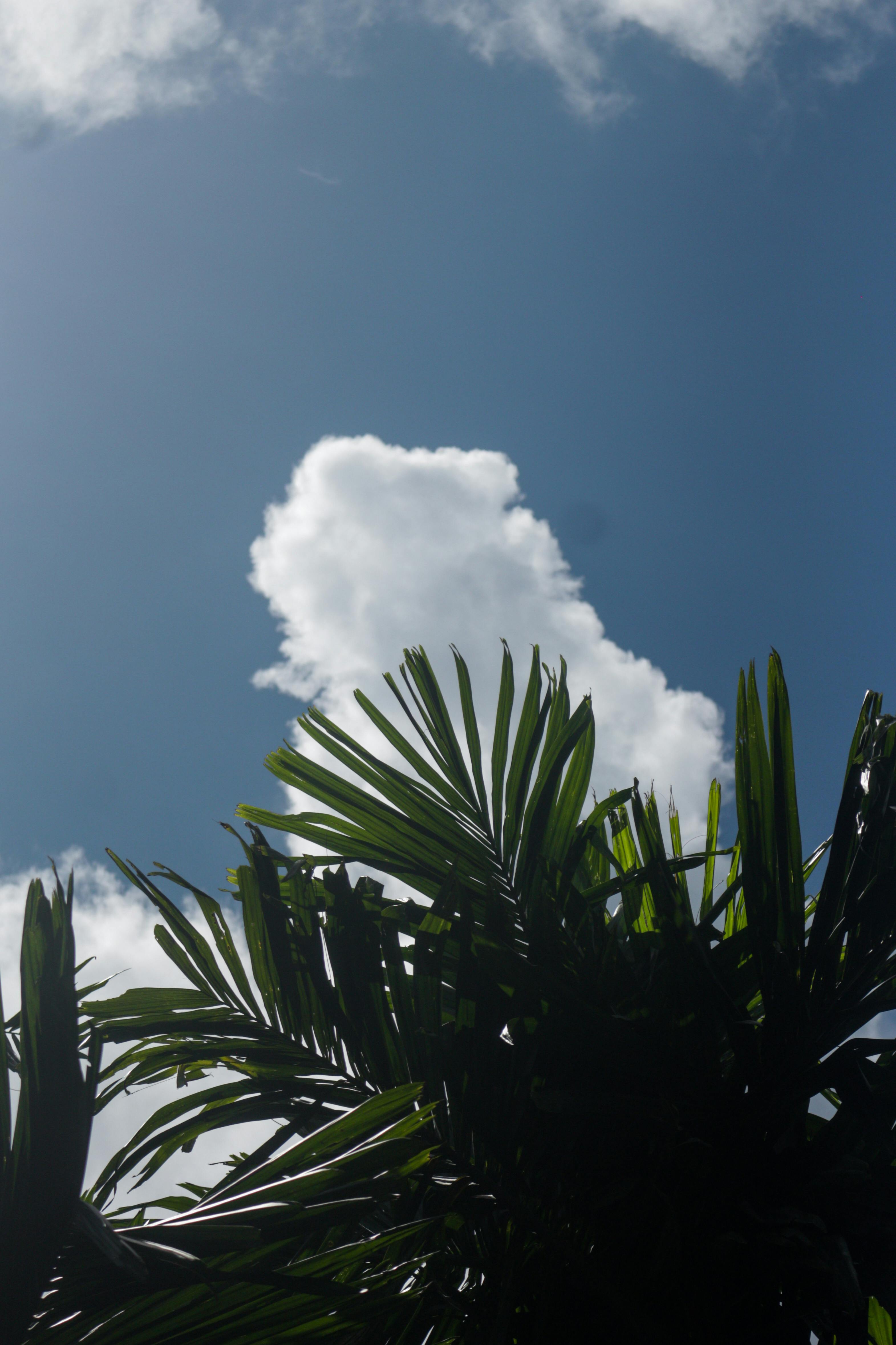 jerin mathew - 摄影