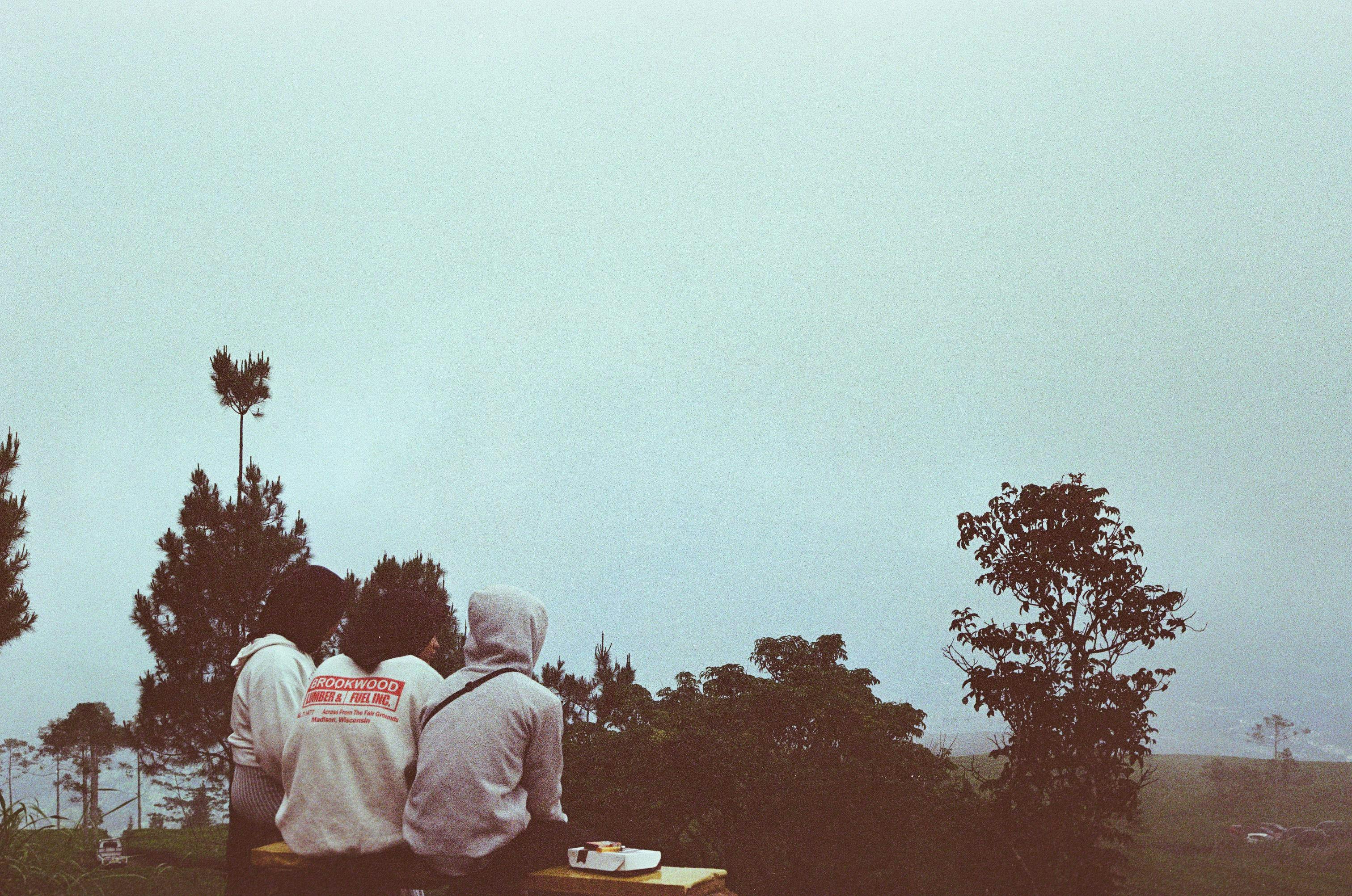 Photo of Woman Sitting on Bench · Free Stock Photo