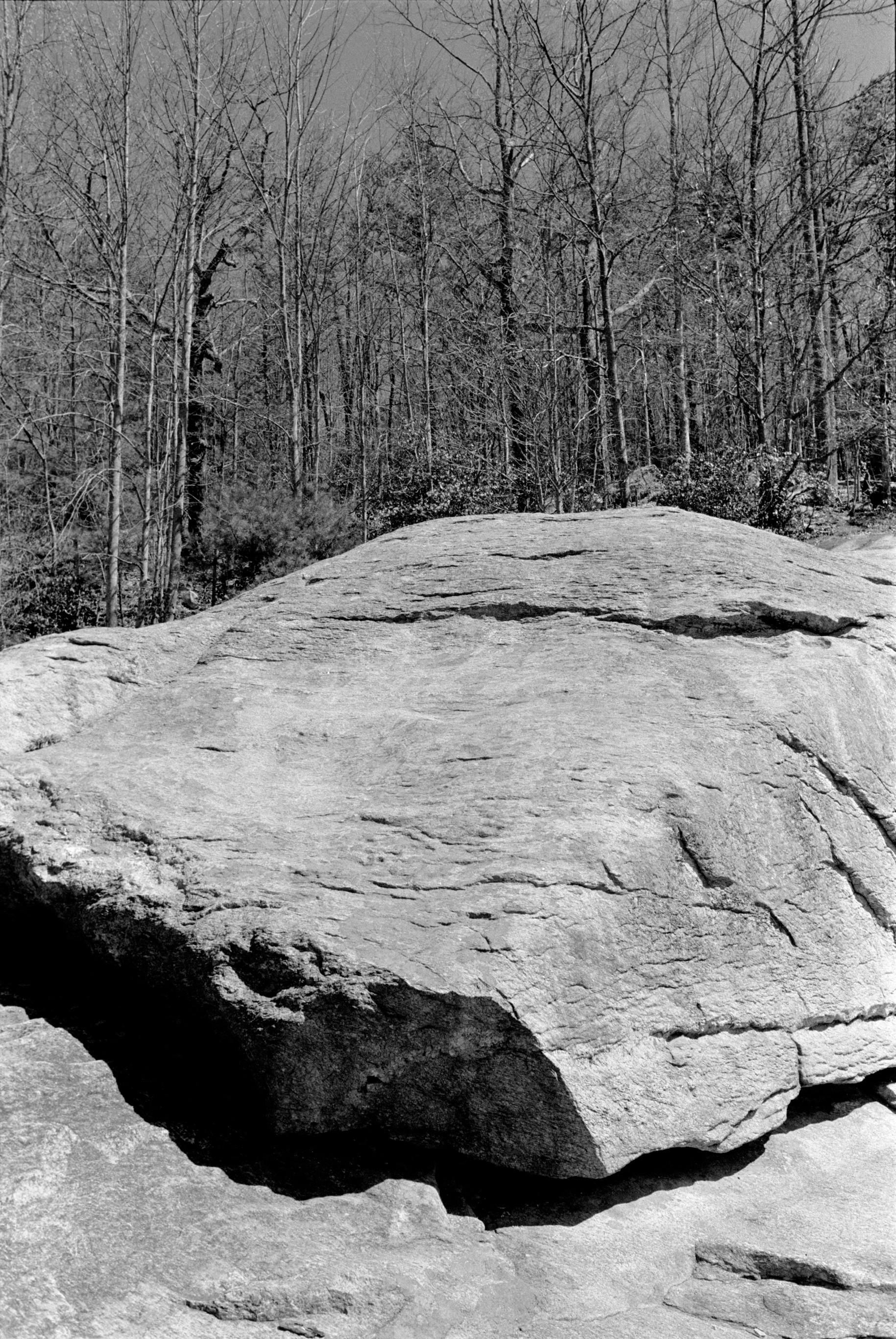 Big Rock Formation Near Trees · Free Stock Photo