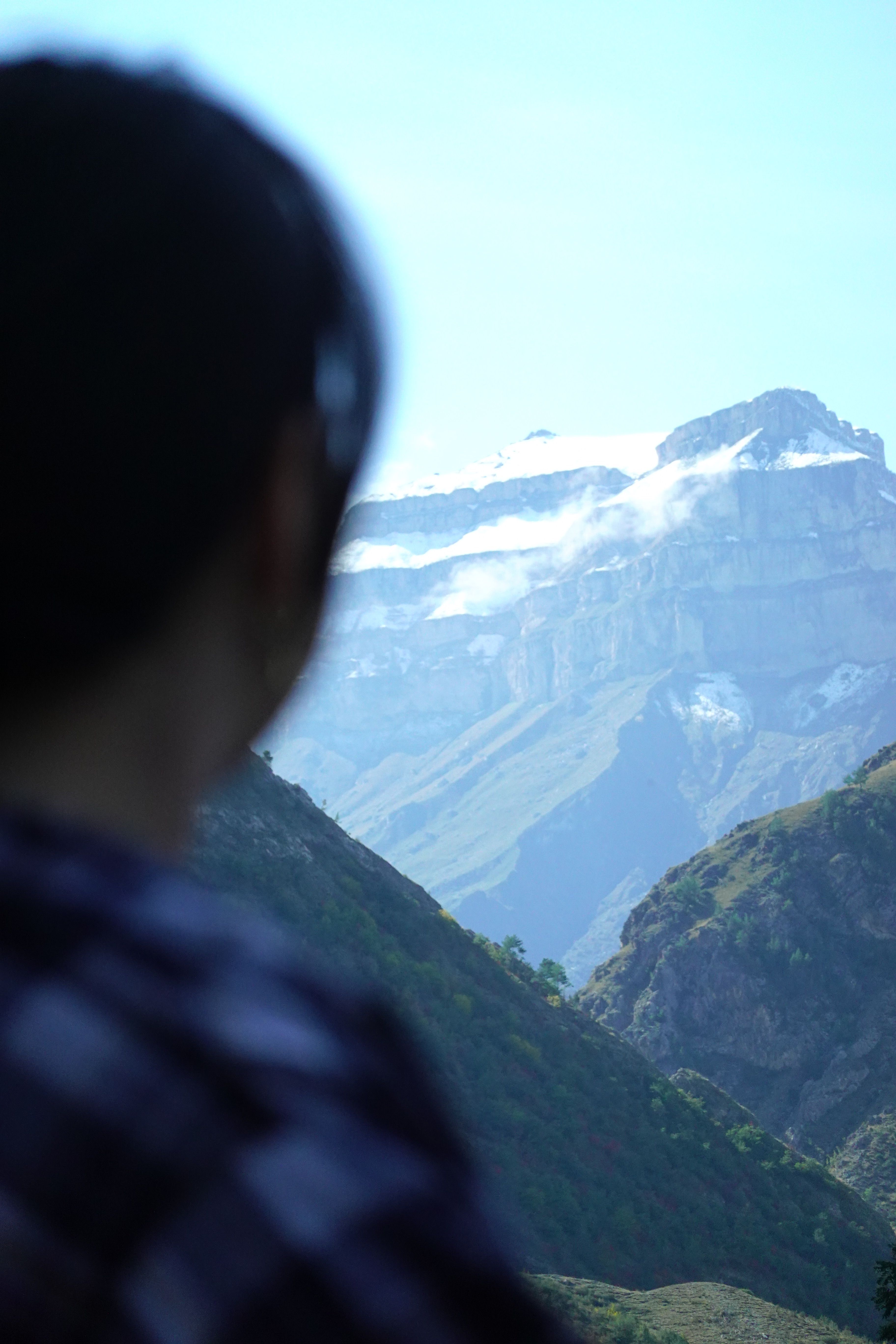 Back View Shot of a Person Looking at the Mountains · Free Stock Photo