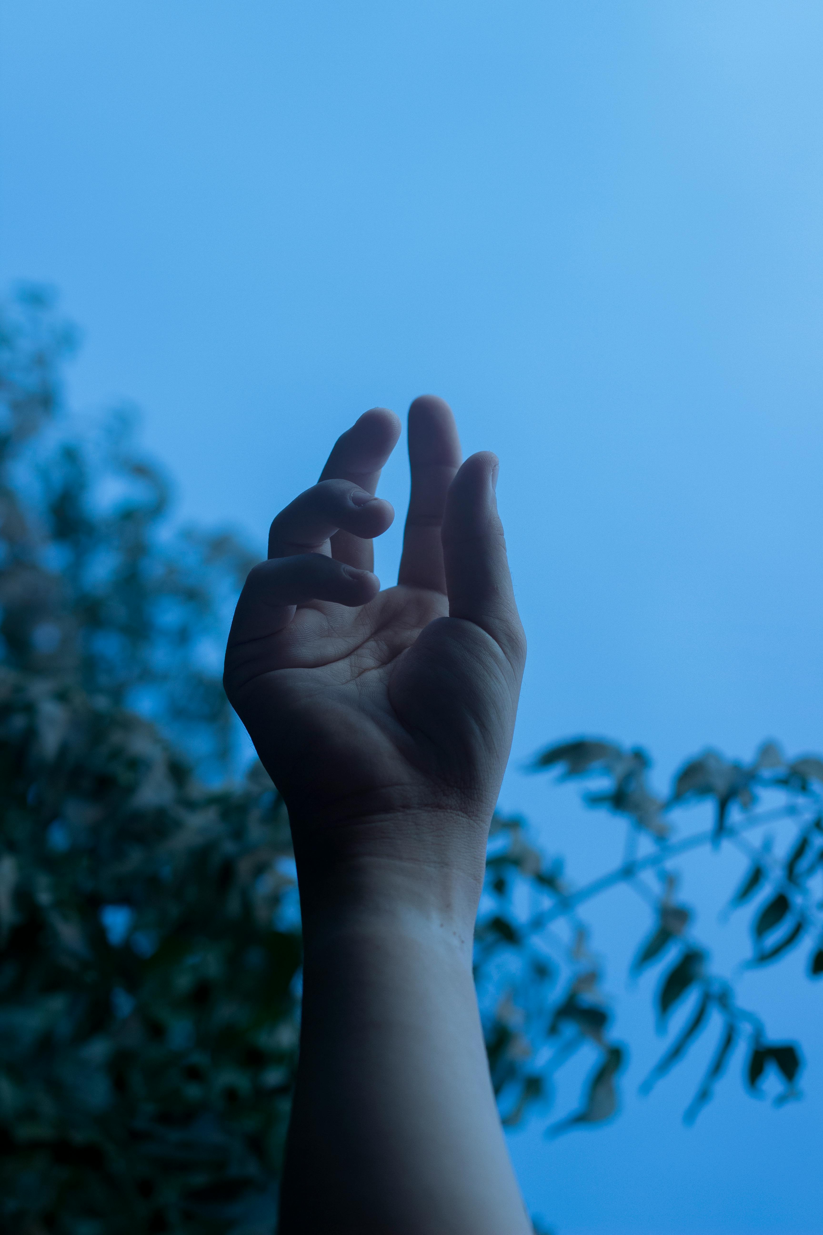 Close Up Photo of a Hand · Free Stock Photo