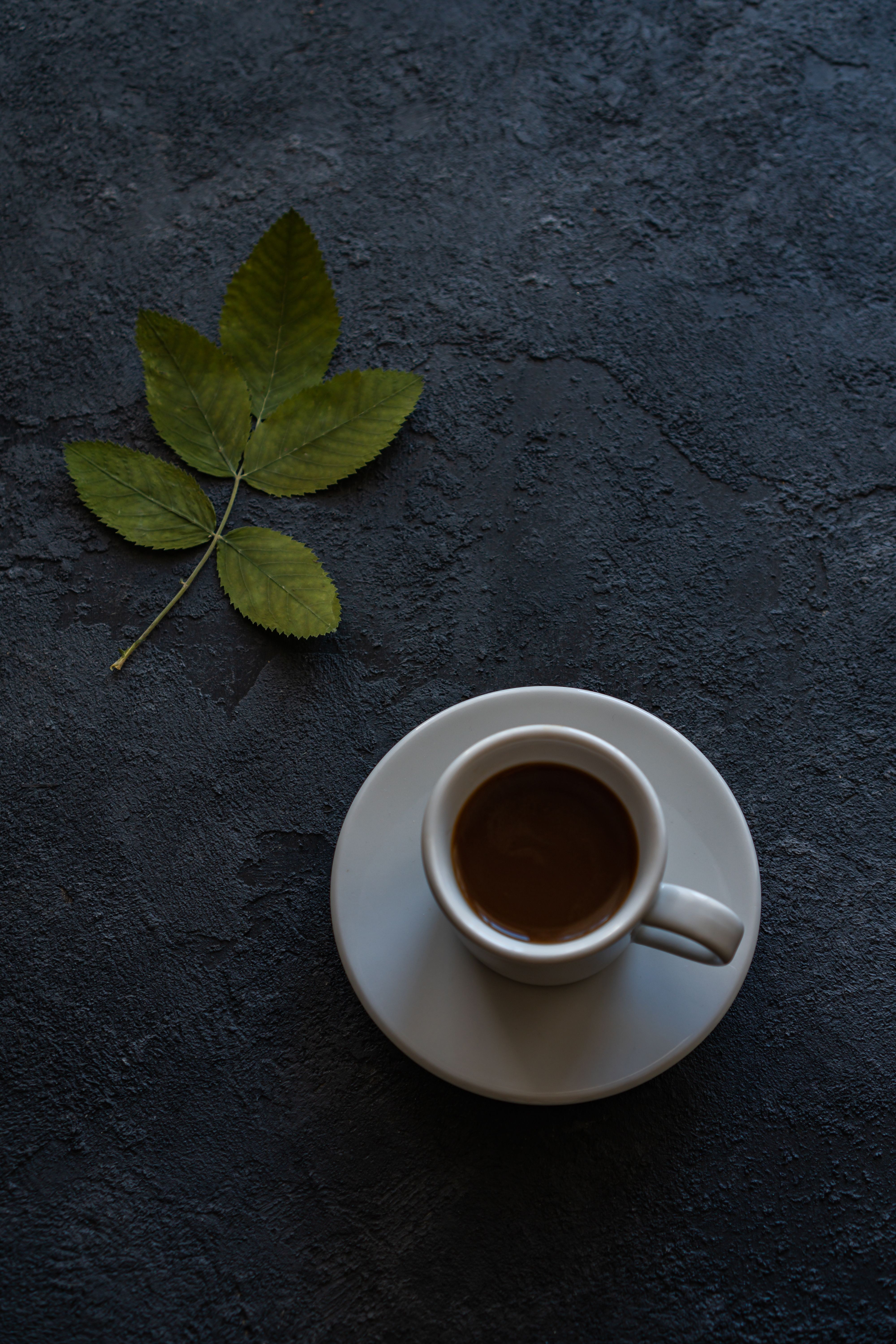 White Ceramic Cup on Saucer and Leaves on Textured Surface · Free Stock ...