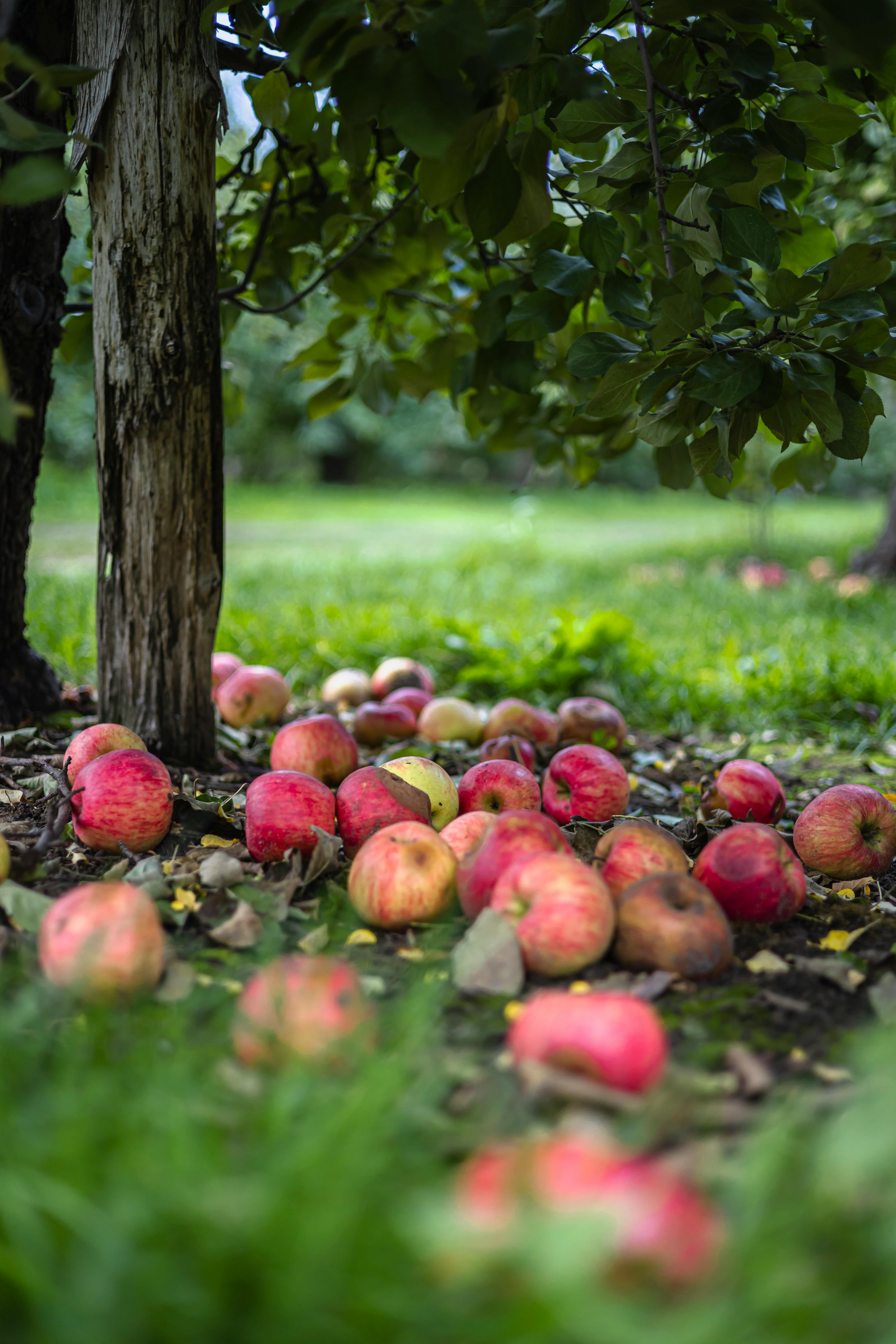 Photoshop 5 Photos & Videos Collected by Jordan Rushton