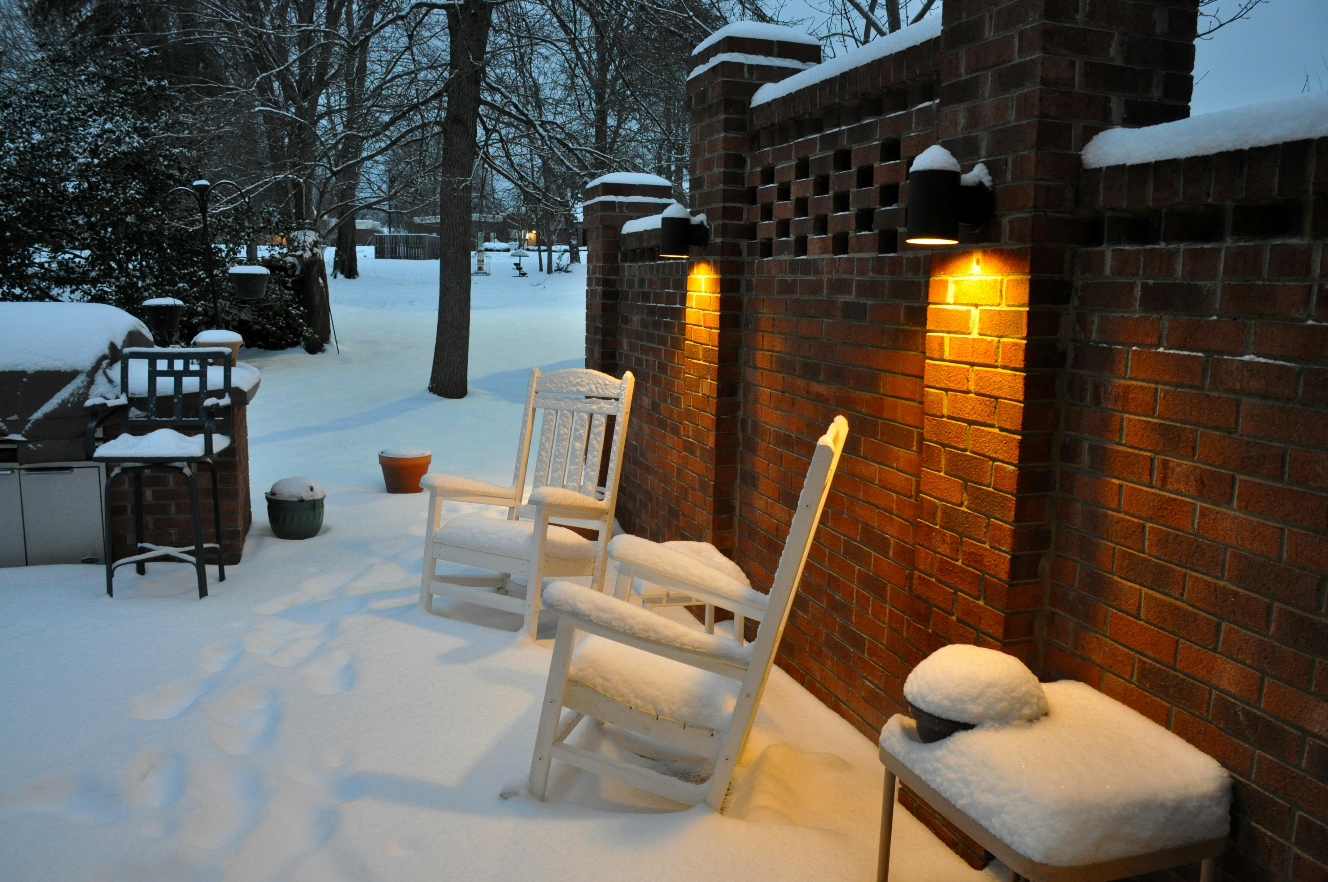 Lynn Nash - Fotografía