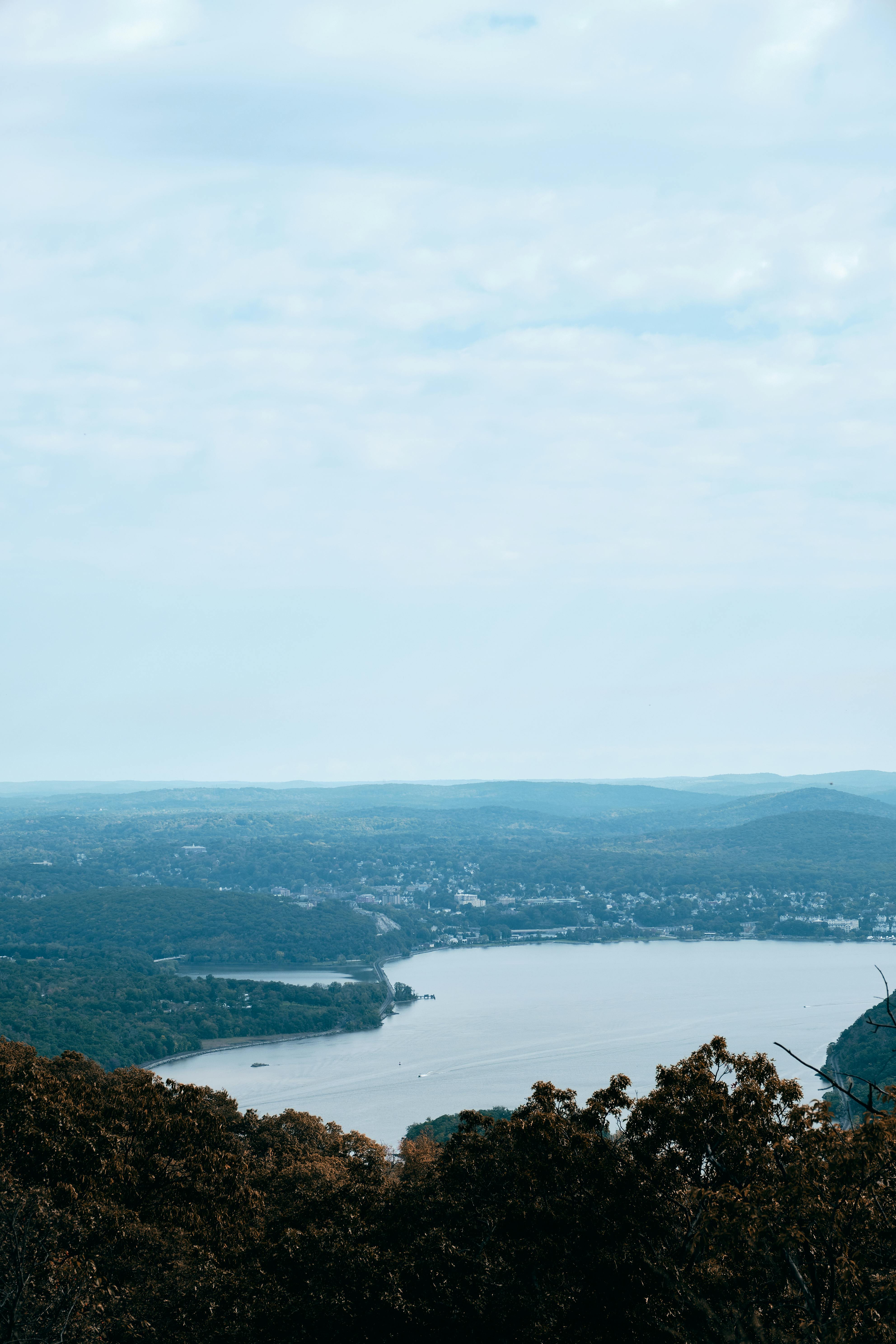 Aerial View of Green Trees Near the Lake · Free Stock Photo