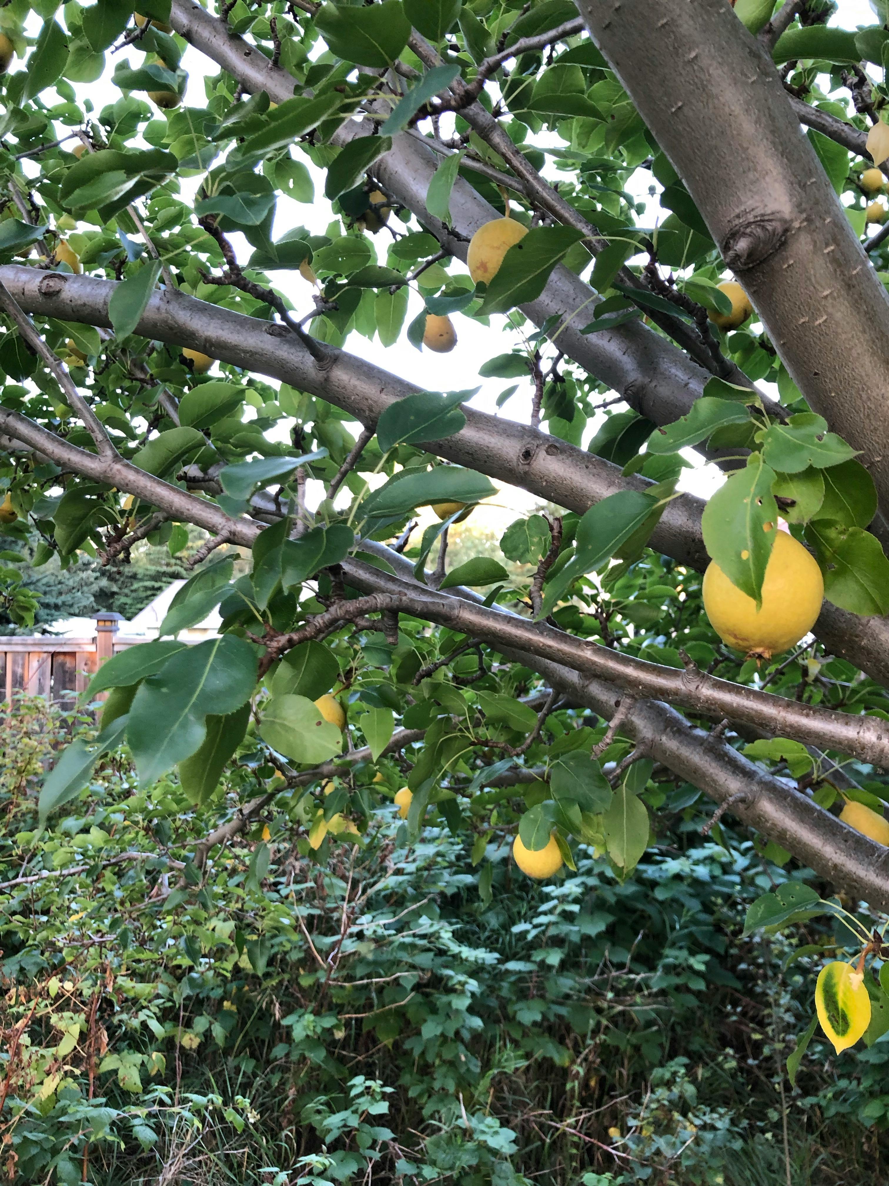 DAVID LUCK - Fotografía