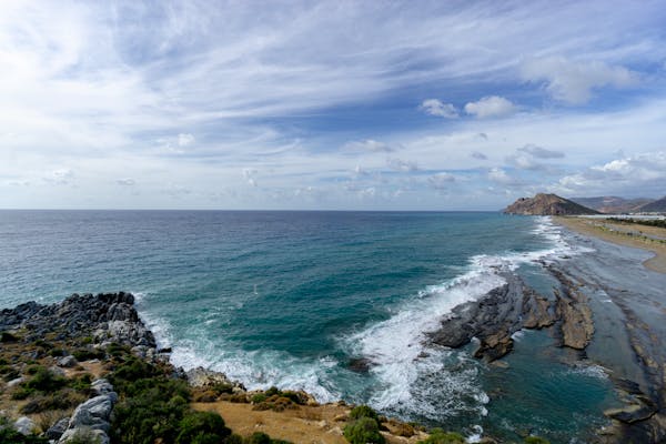 Koru Photos, Download The BEST Free Koru Stock Photos & HD Images