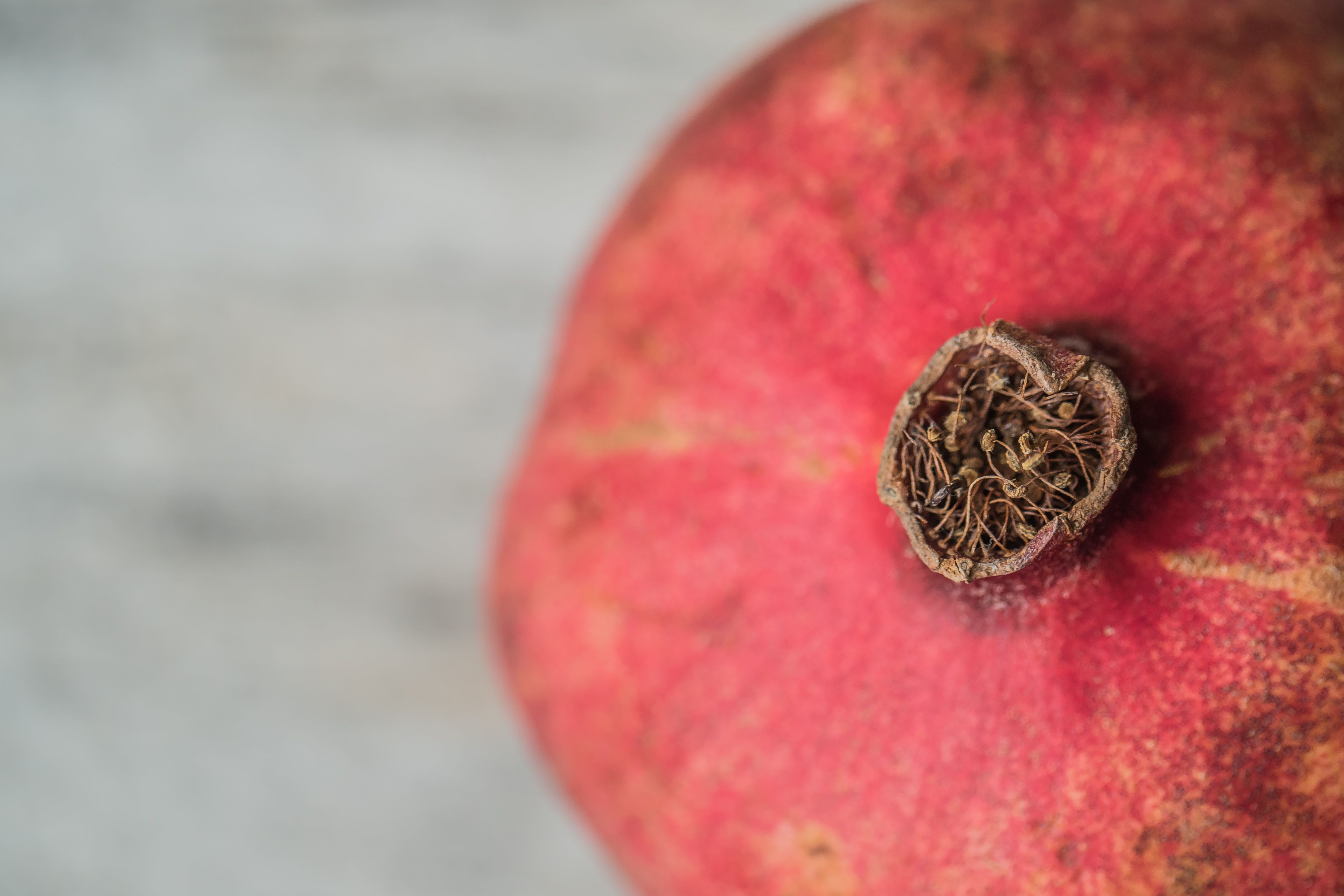 Close Up Photograph of Round Red Fruit · Free Stock Photo