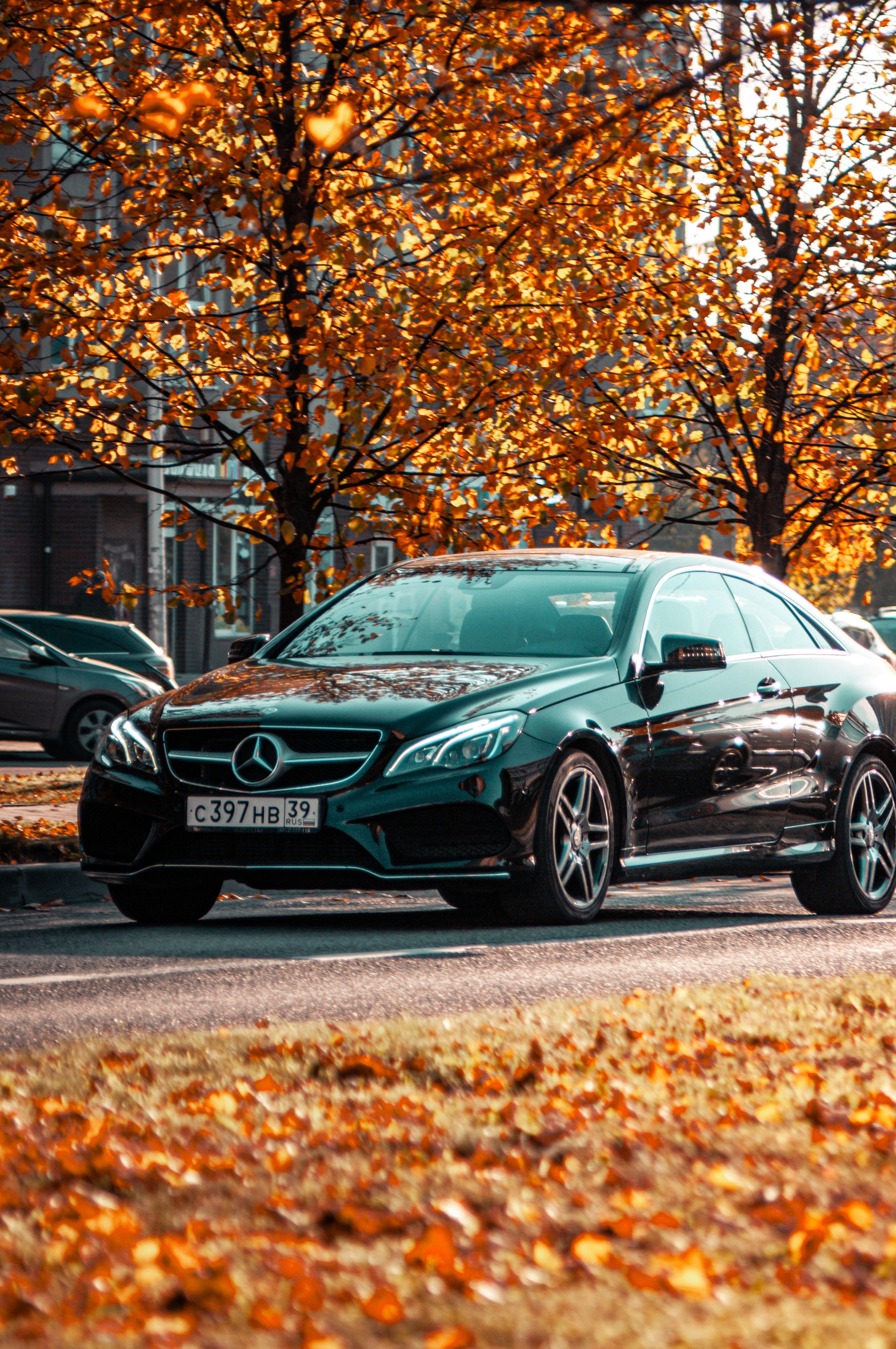Russian Car Plate Photos, Download The BEST Free Russian Car Plate ...