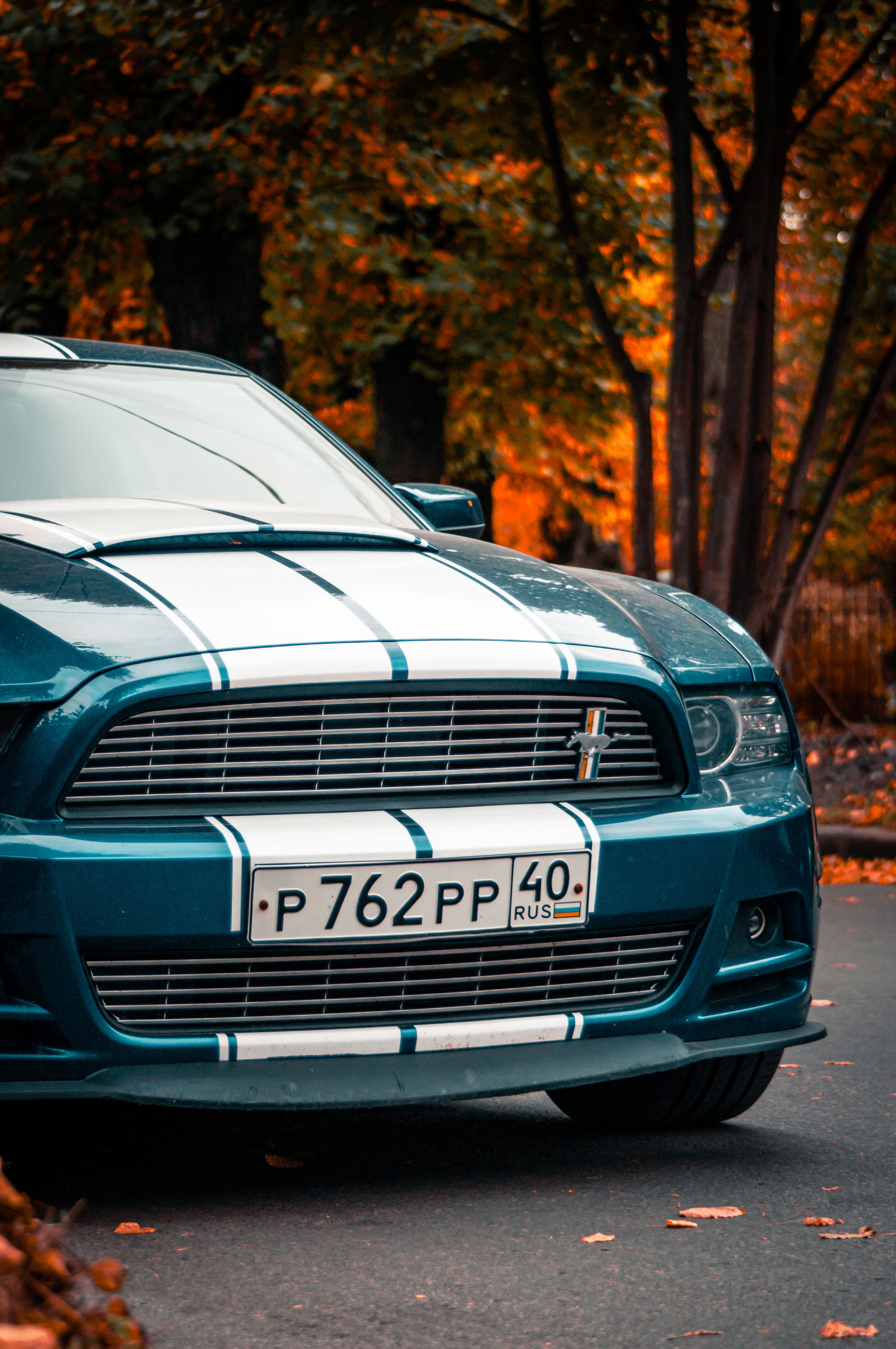 Front of a Blue Car · Free Stock Photo