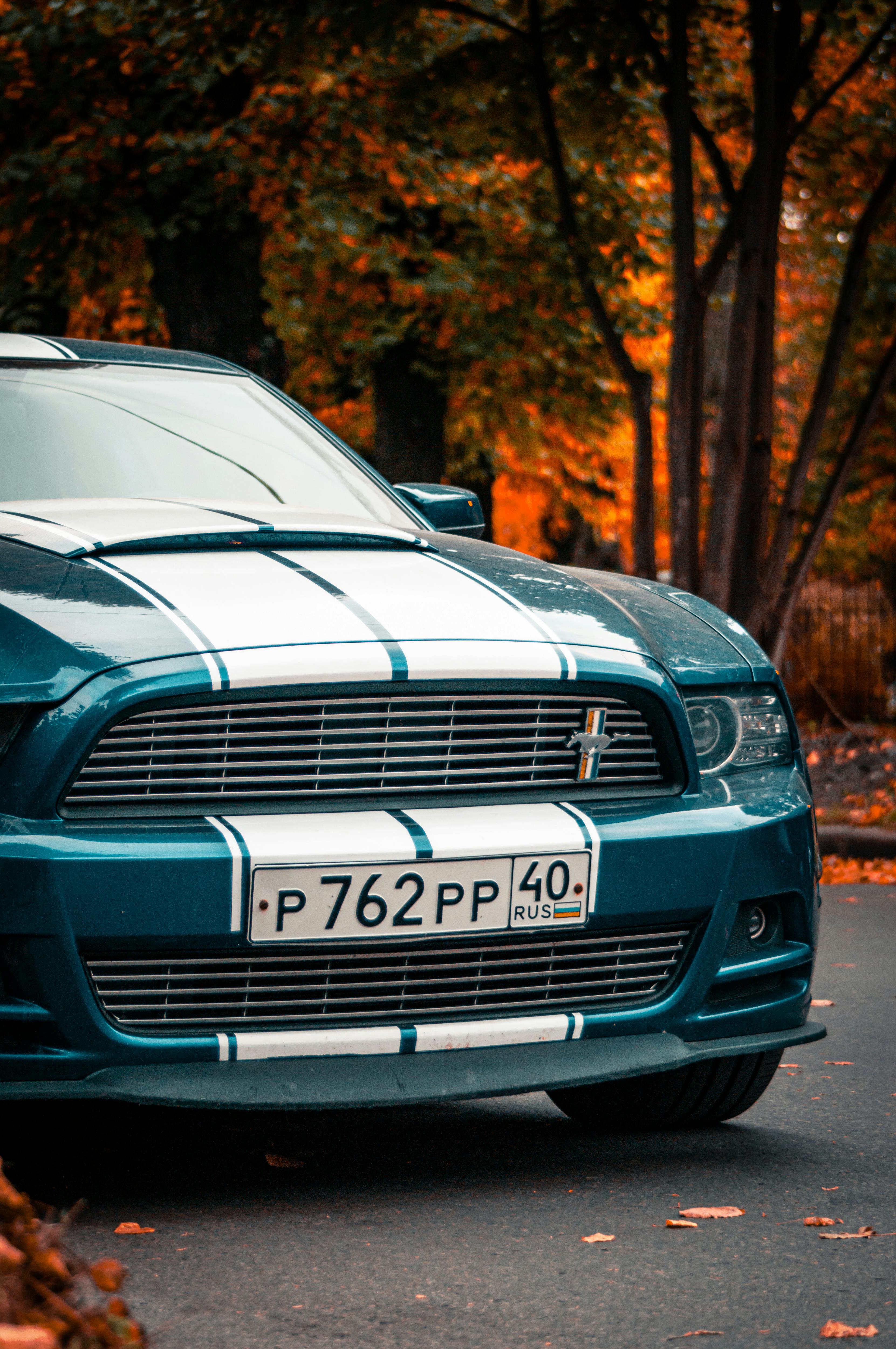 Car Licence Photos, Download Free Car Licence Stock Photos & HD Images