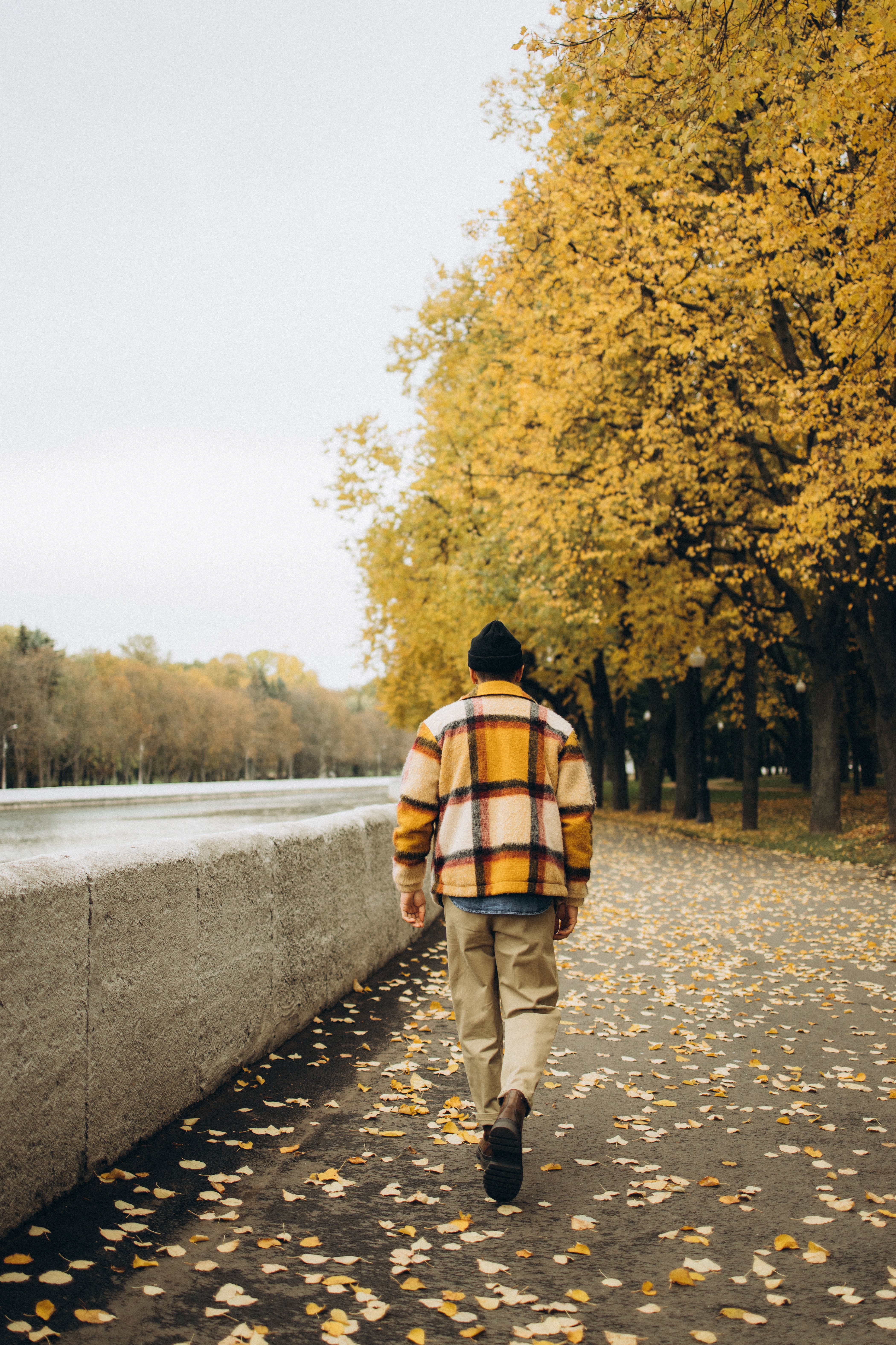 Person with Pumpkin Head Standing among Trees in Fall · Free Stock Photo