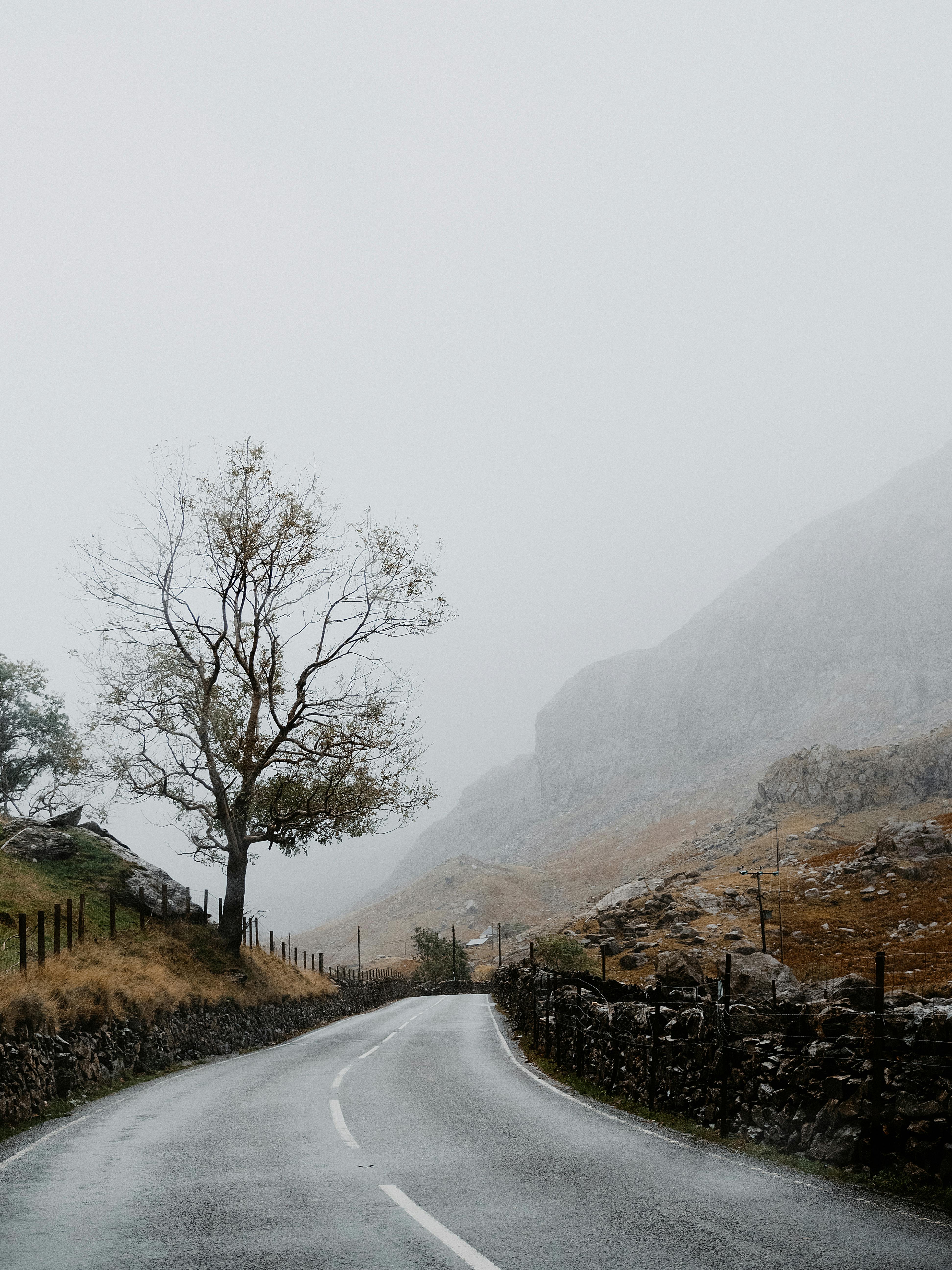 Country Road Leading through Misty Mountains · Free Stock Photo