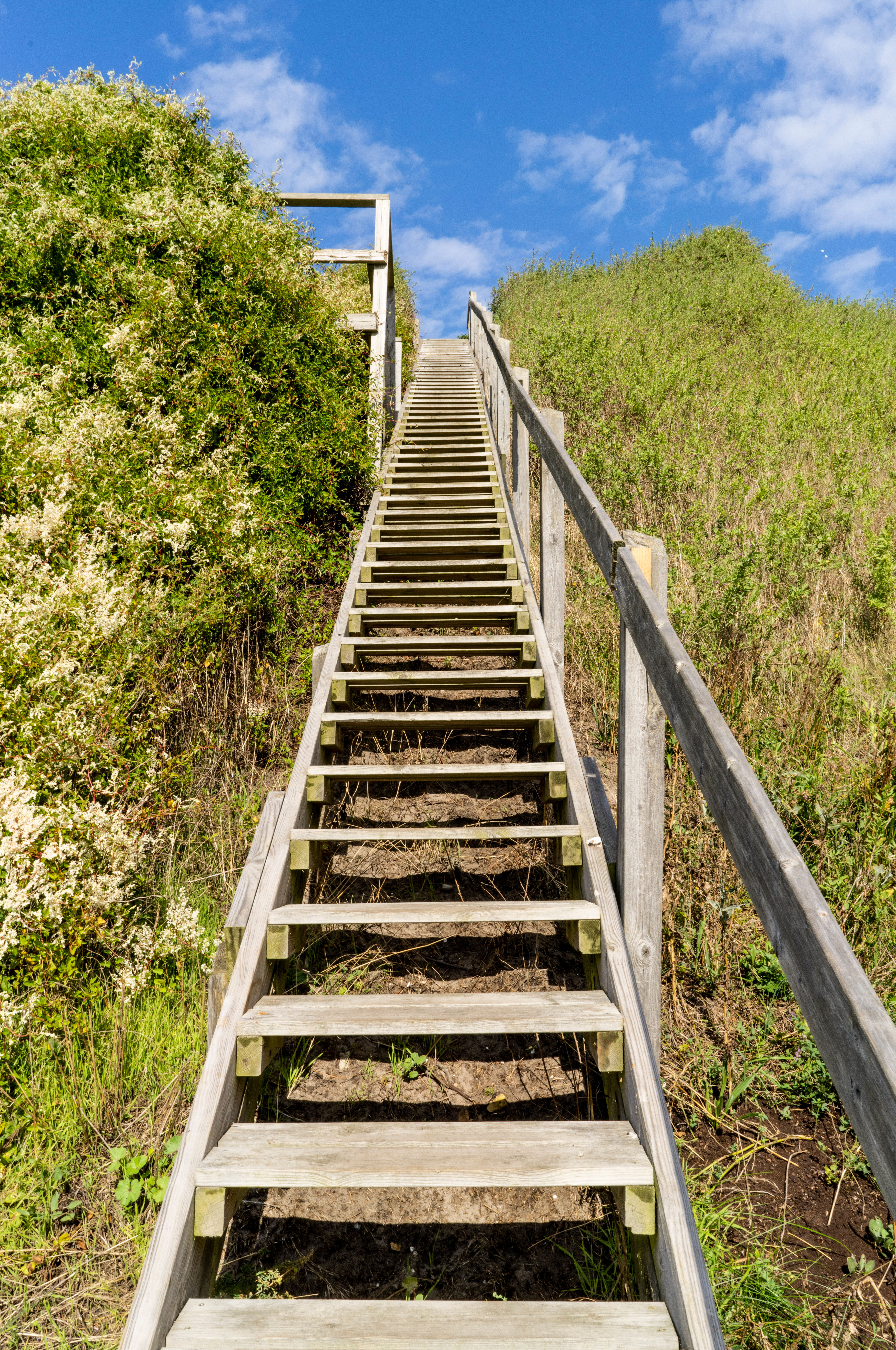 Low Angle Shot of Brown Wooden Staircase · Free Stock Photo