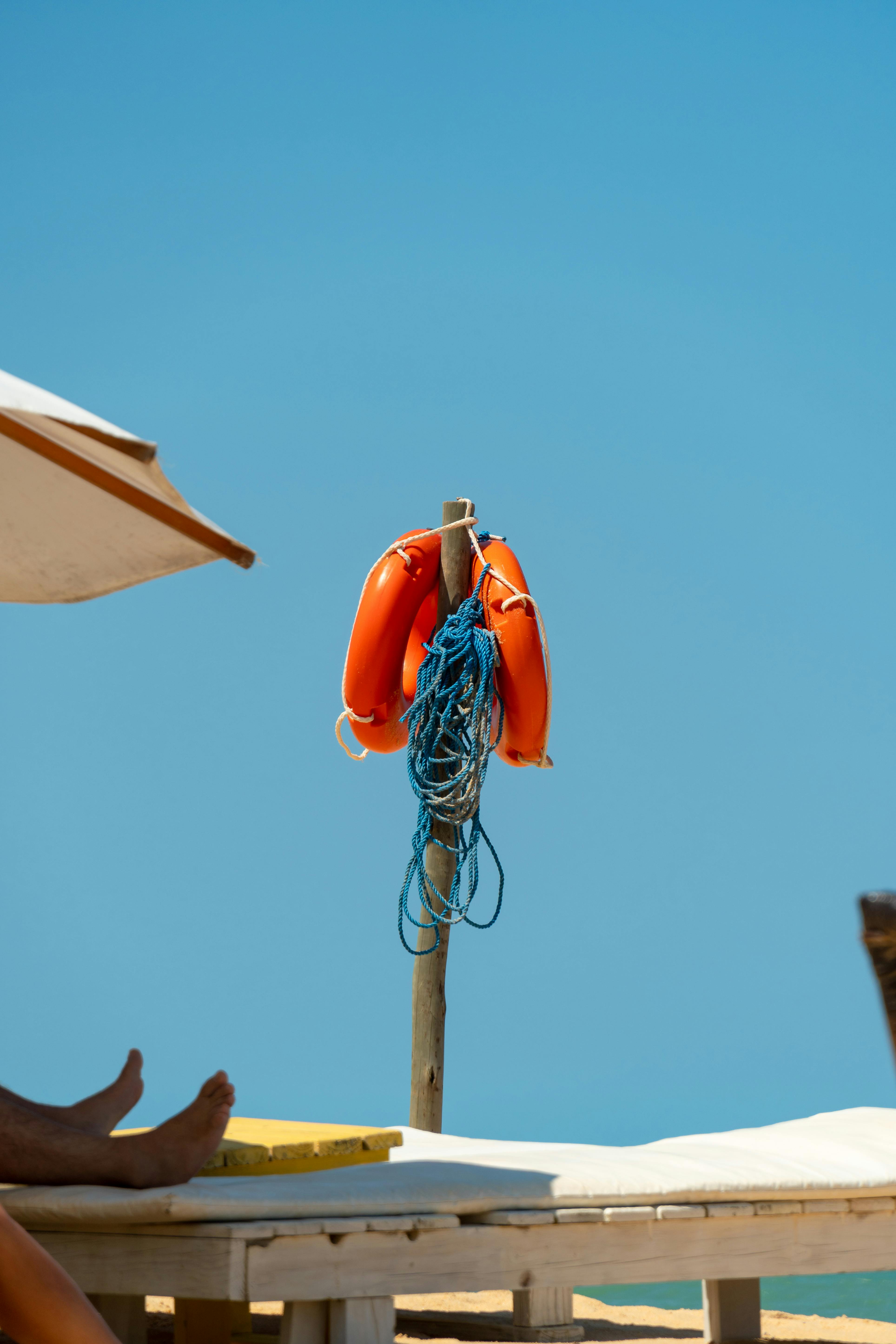 Orange Floaters Hanging on Brown Log · Free Stock Photo