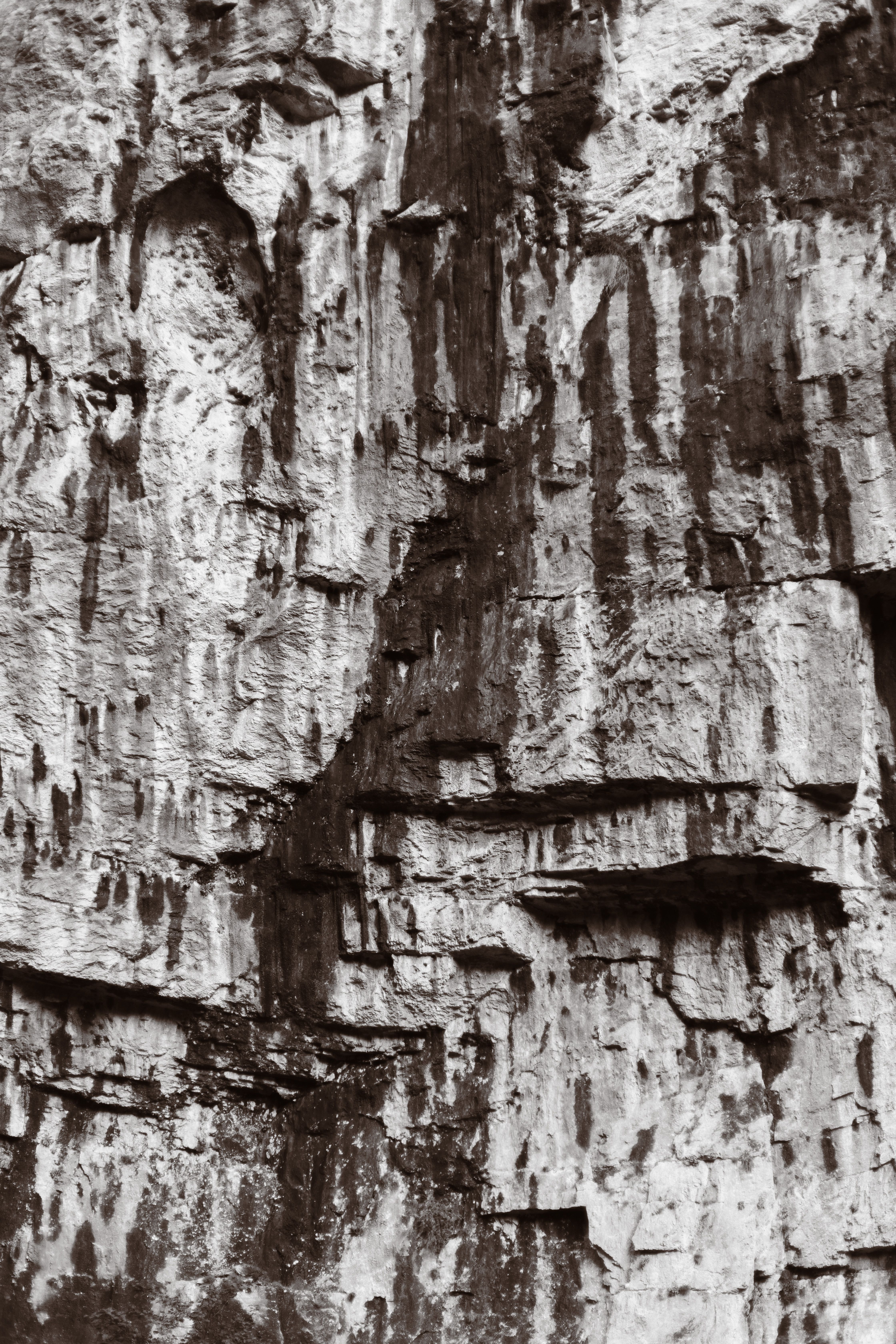 Closeup of a Rough Rock Texture · Free Stock Photo