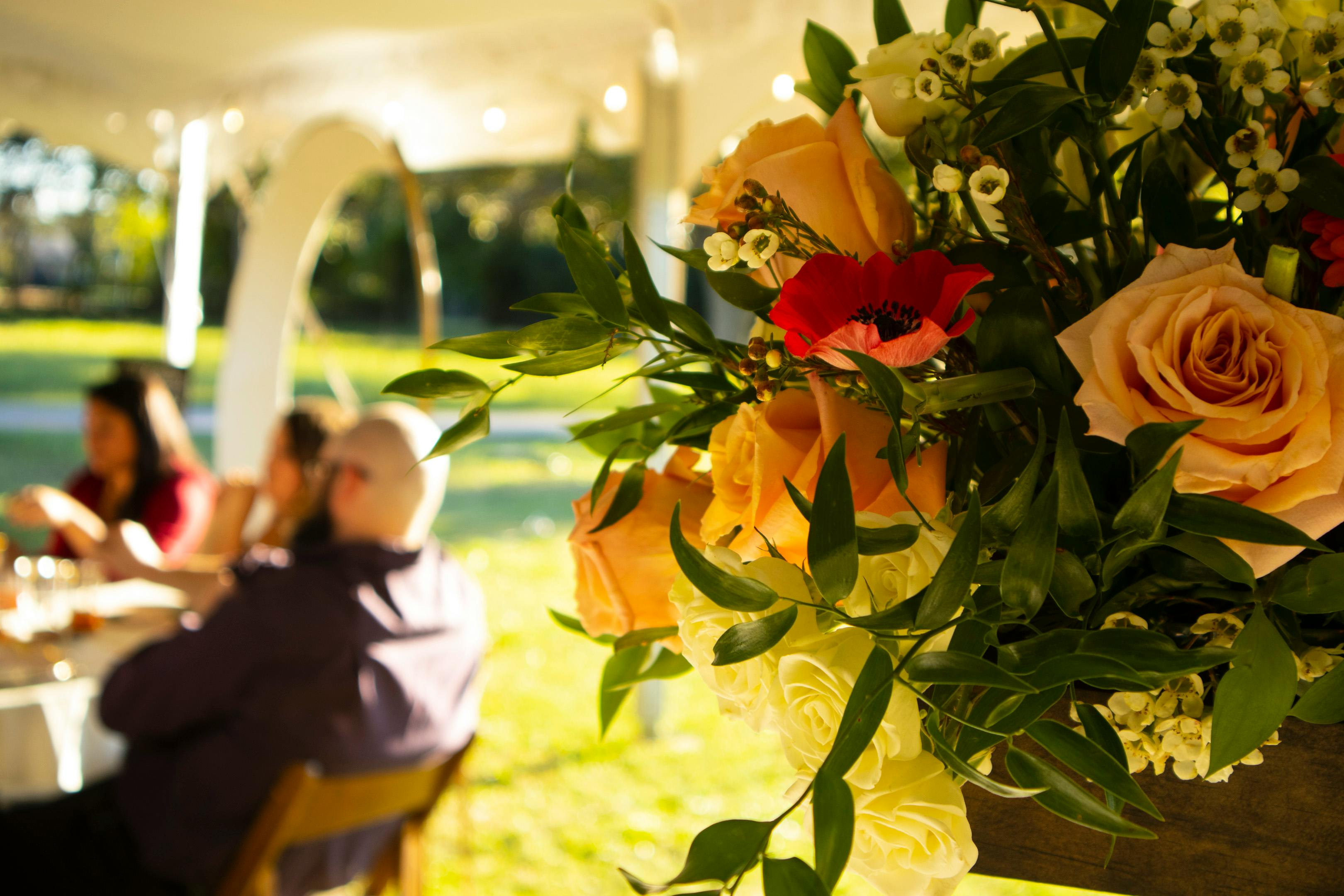 Girl Posing with Flowers in Field · Free Stock Photo