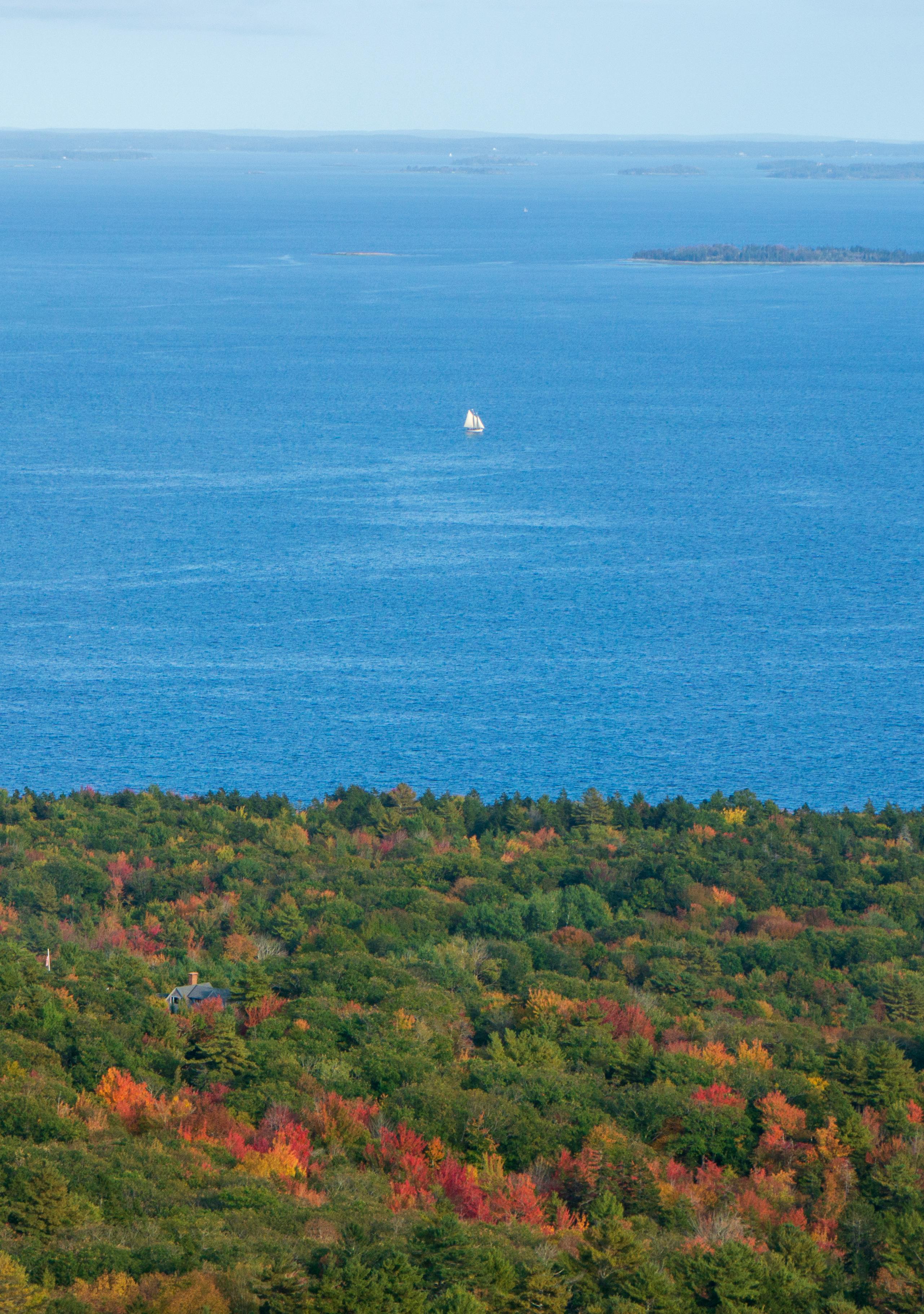Aerial View of a Forest on the Coast and Seascape · Free Stock Photo