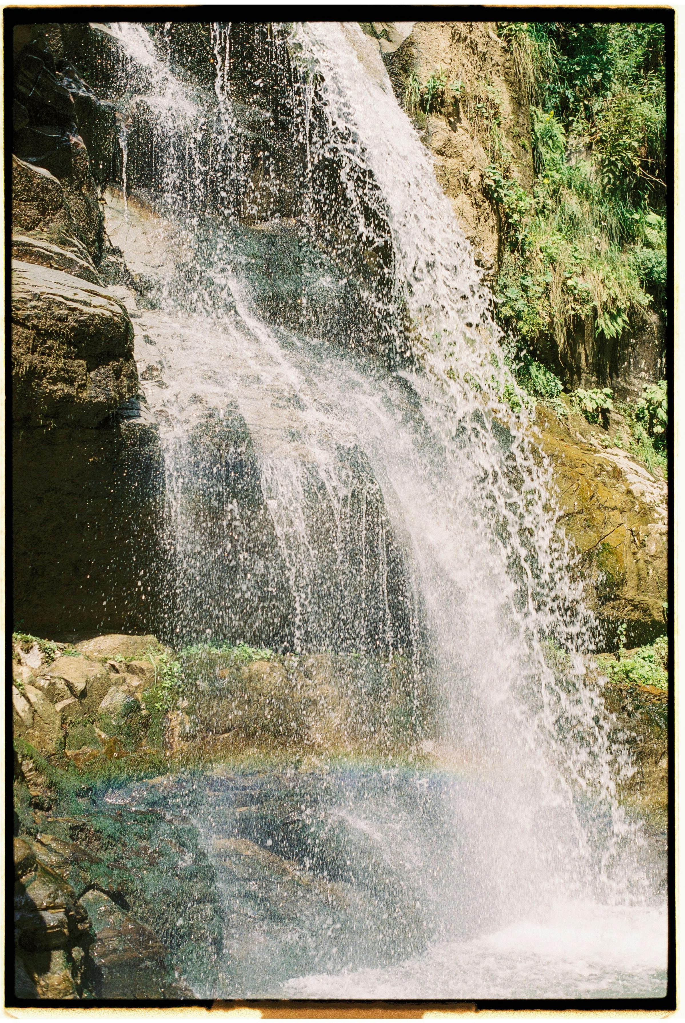 Mist The Soil With Water Photos, Download The BEST Free Mist The Soil ...