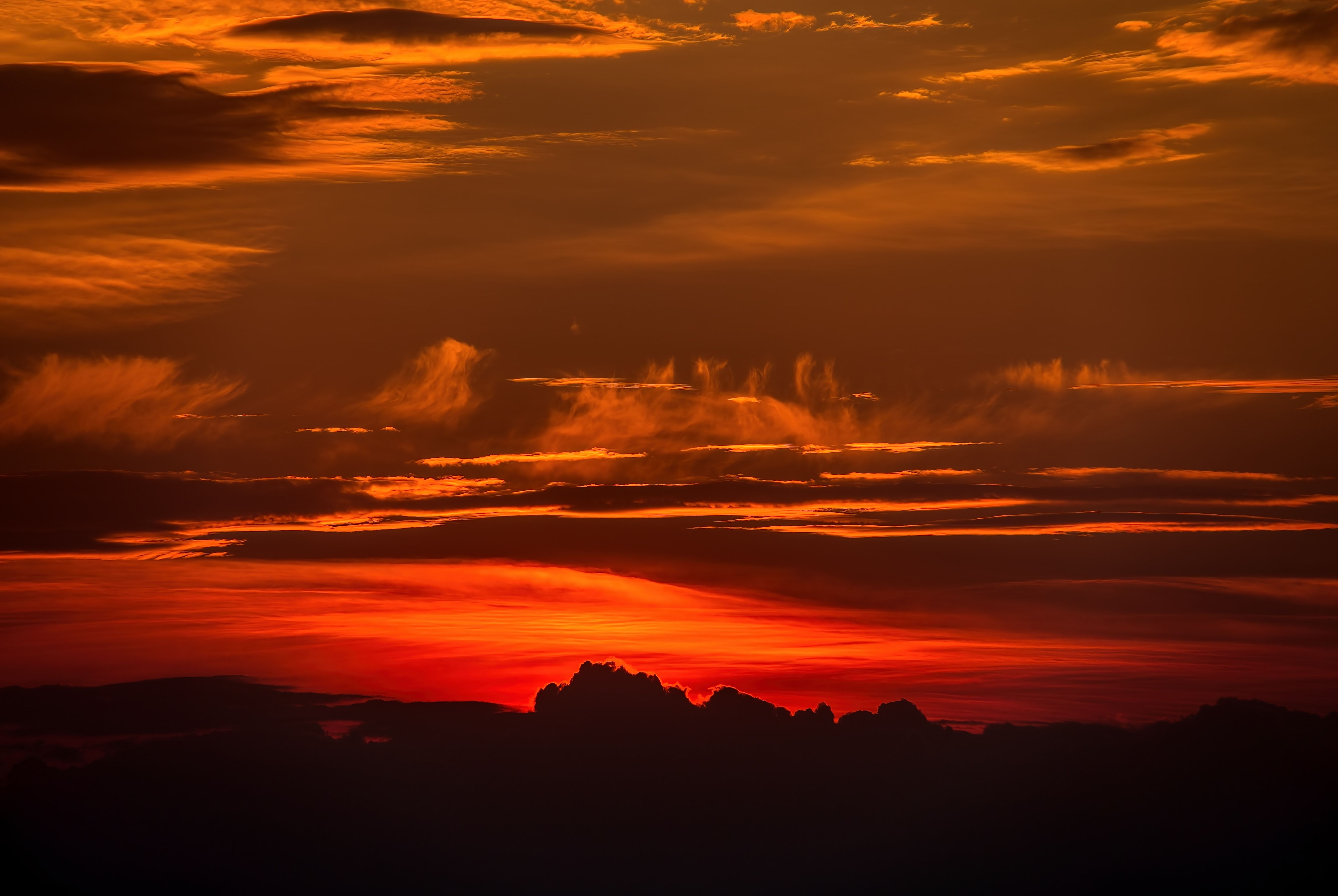 Silhouette of People Jumping on Field during Dusk · Free Stock Photo