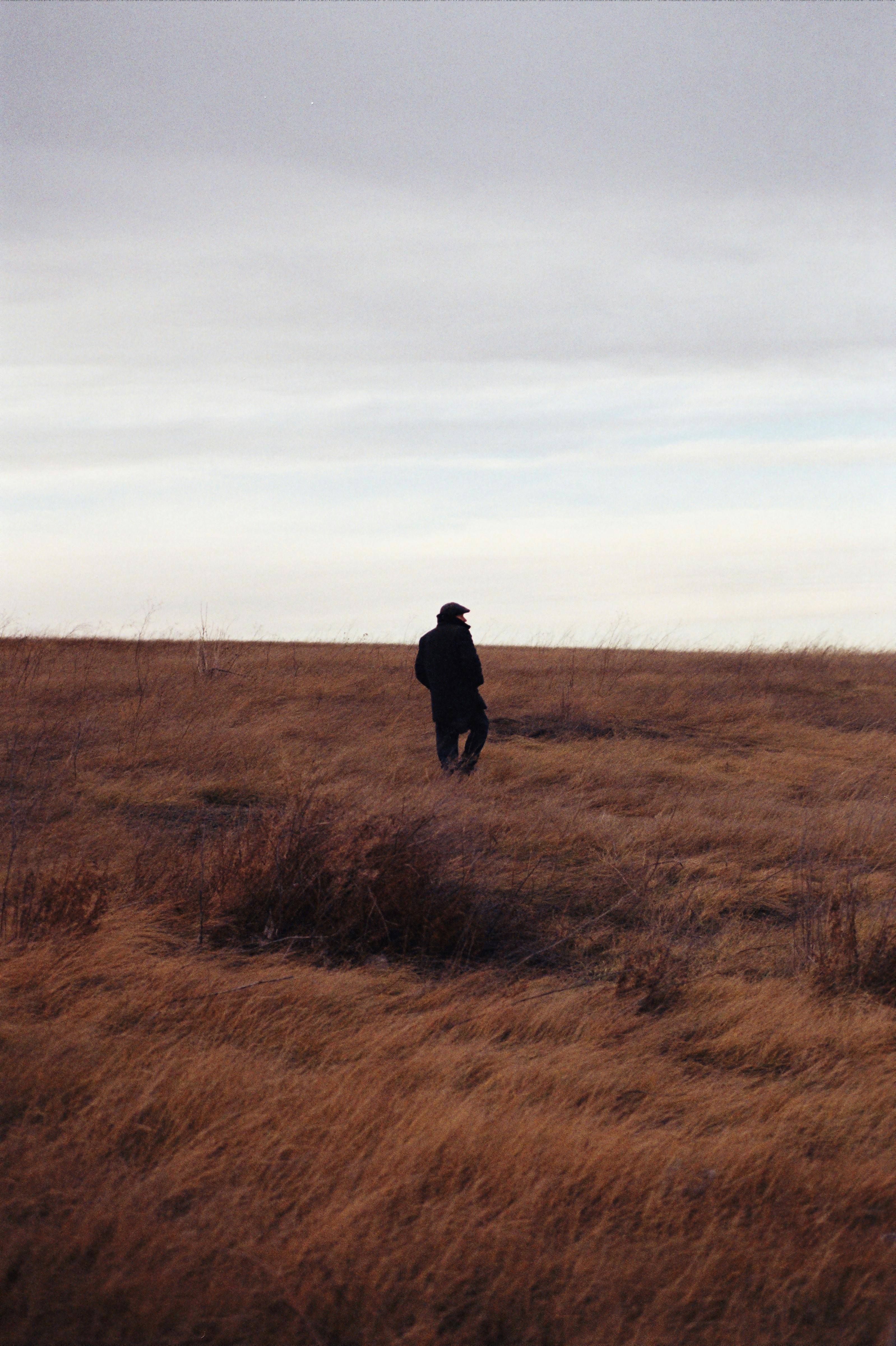 Field Margin Photos, Download The BEST Free Field Margin Stock Photos ...