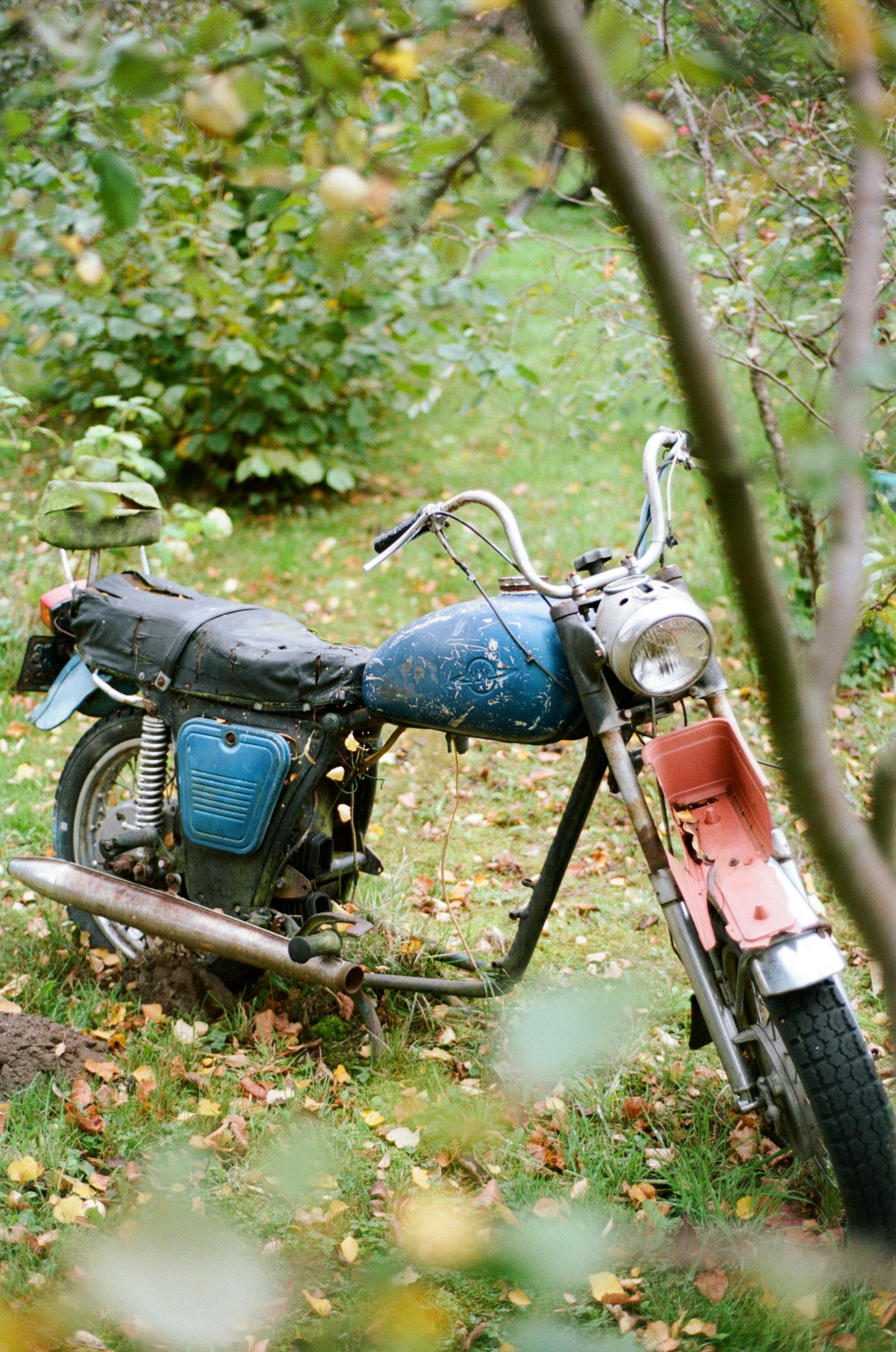 An Engineless Motorcycle in the Garden · Free Stock Photo