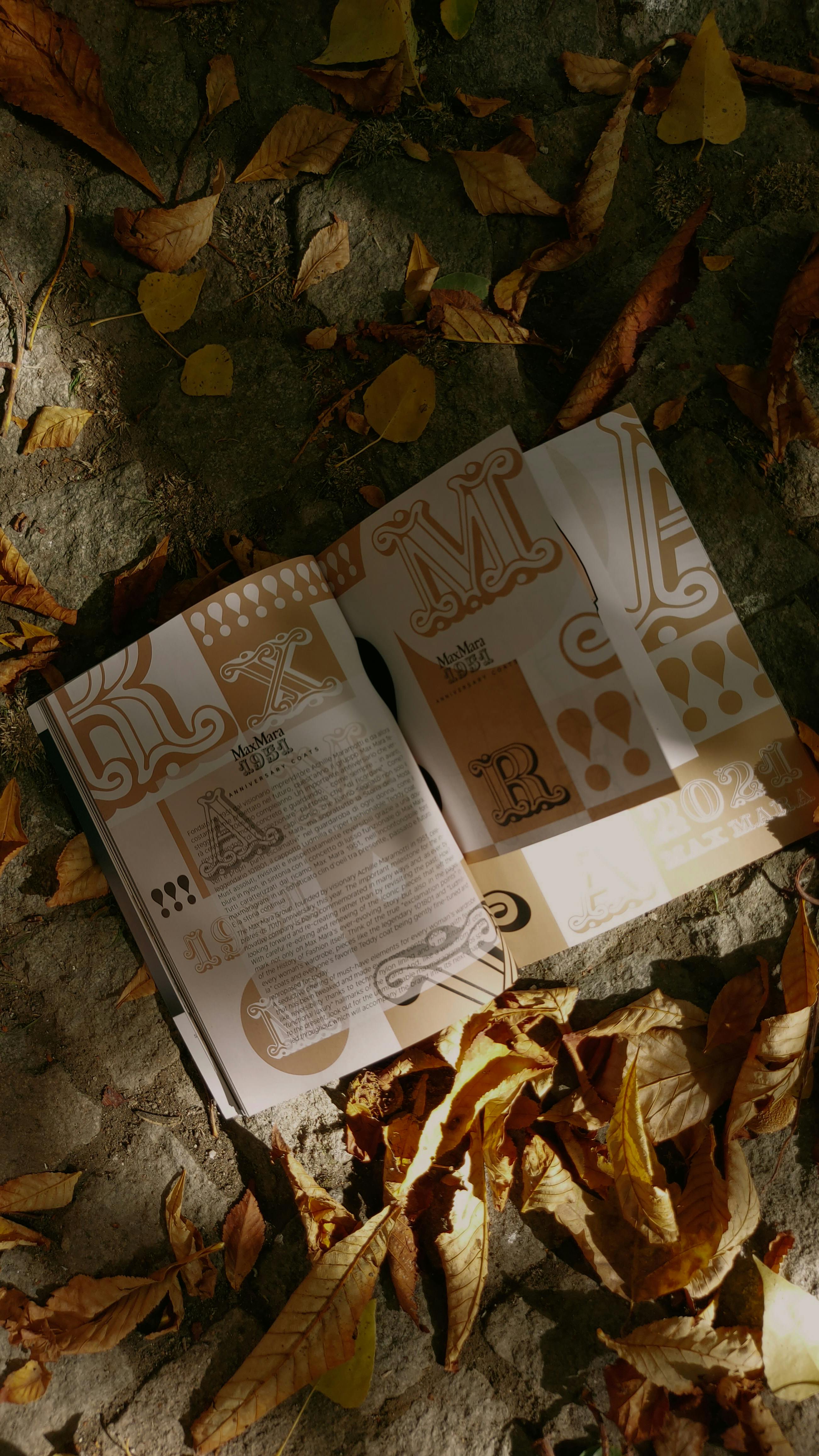 An Open Book on the Floor · Free Stock Photo